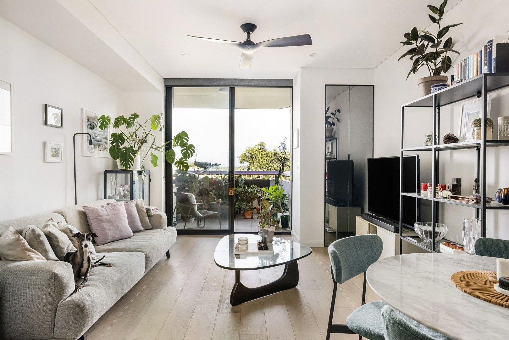 502/15 Regent Street, Petersham NSW 2049 | Domain