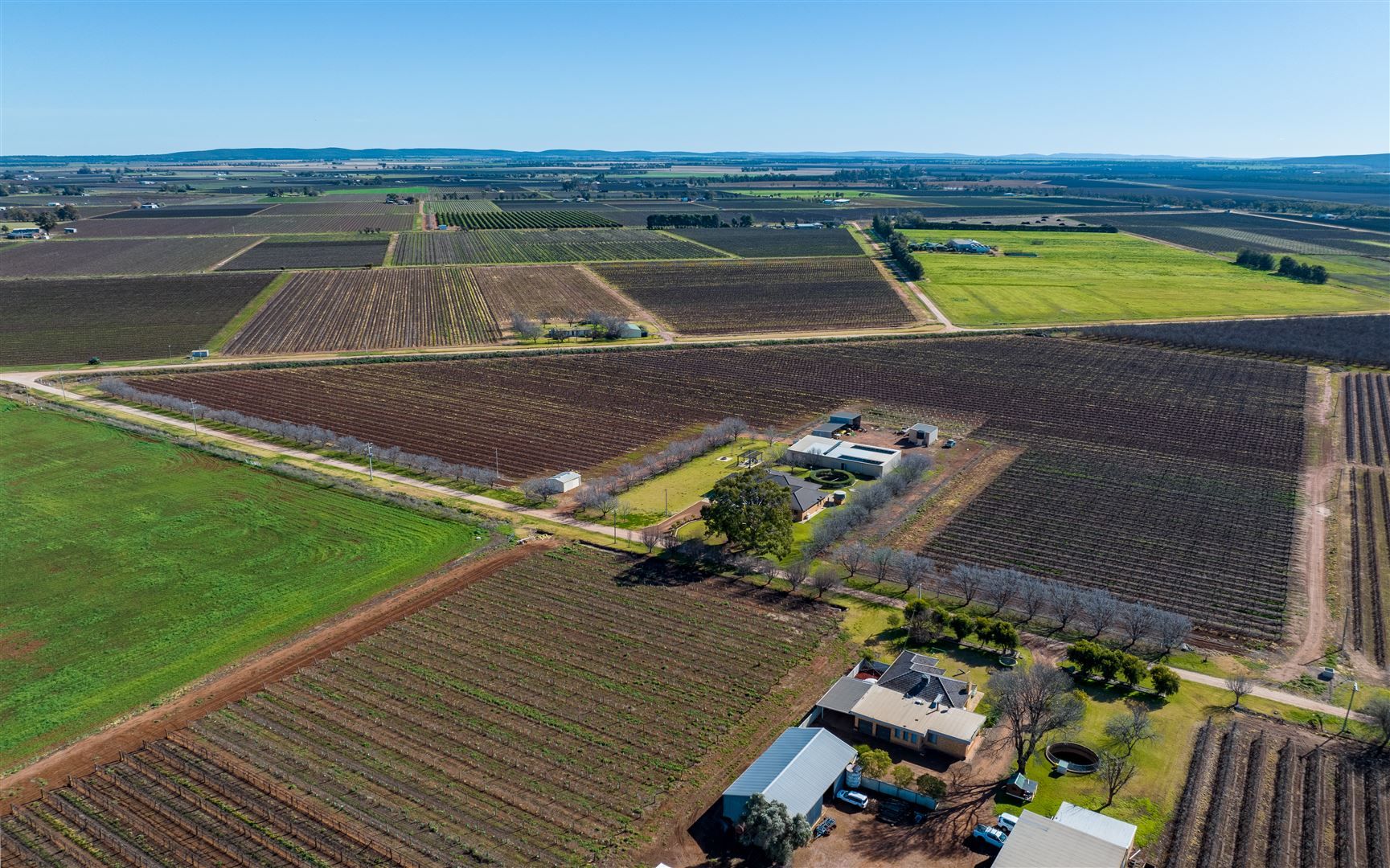 Farm 1489 Zandona Road, Yenda NSW 2681 - Specialist Farm for Sale