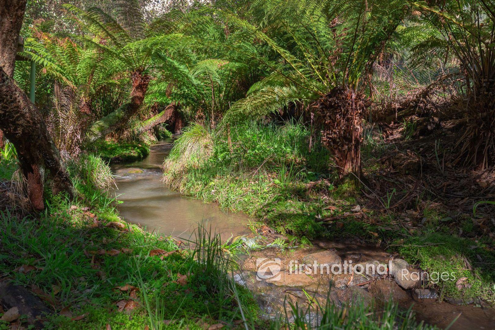 97 Priors Road, The Patch VIC 3792 | Domain