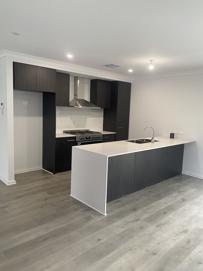 66a Gardner Street, Camden Park SA 5038 - House For Rent - $700 | Domain