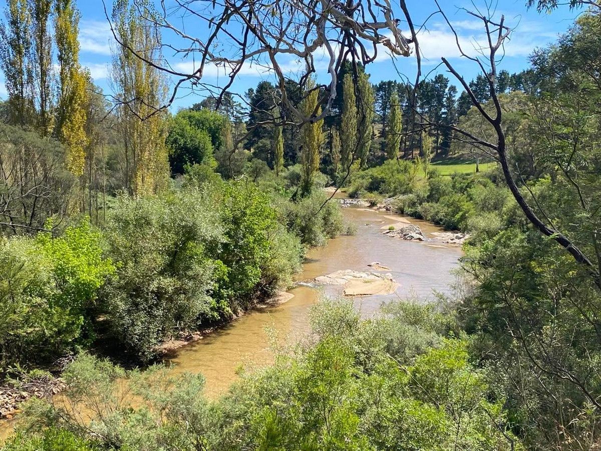 49 Tantawangalo Lane, Candelo NSW 2550 | Domain