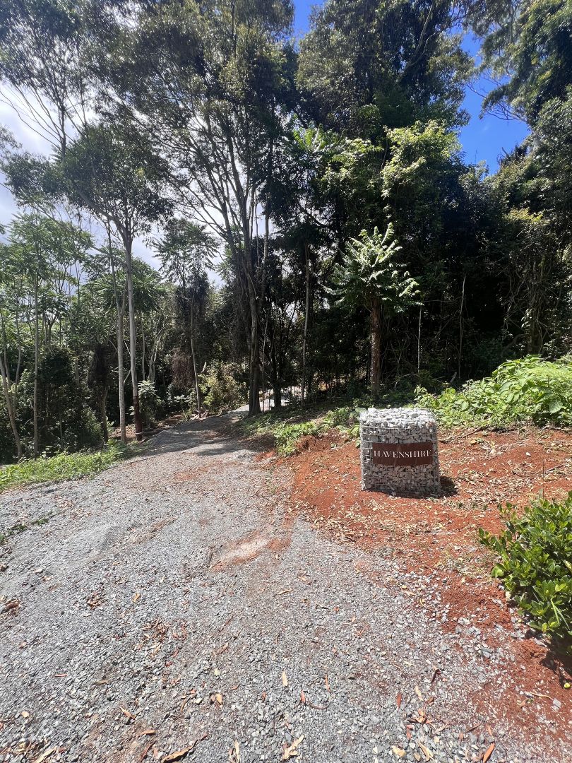 2471 Springbrook Road, Springbrook QLD 4213 | Domain