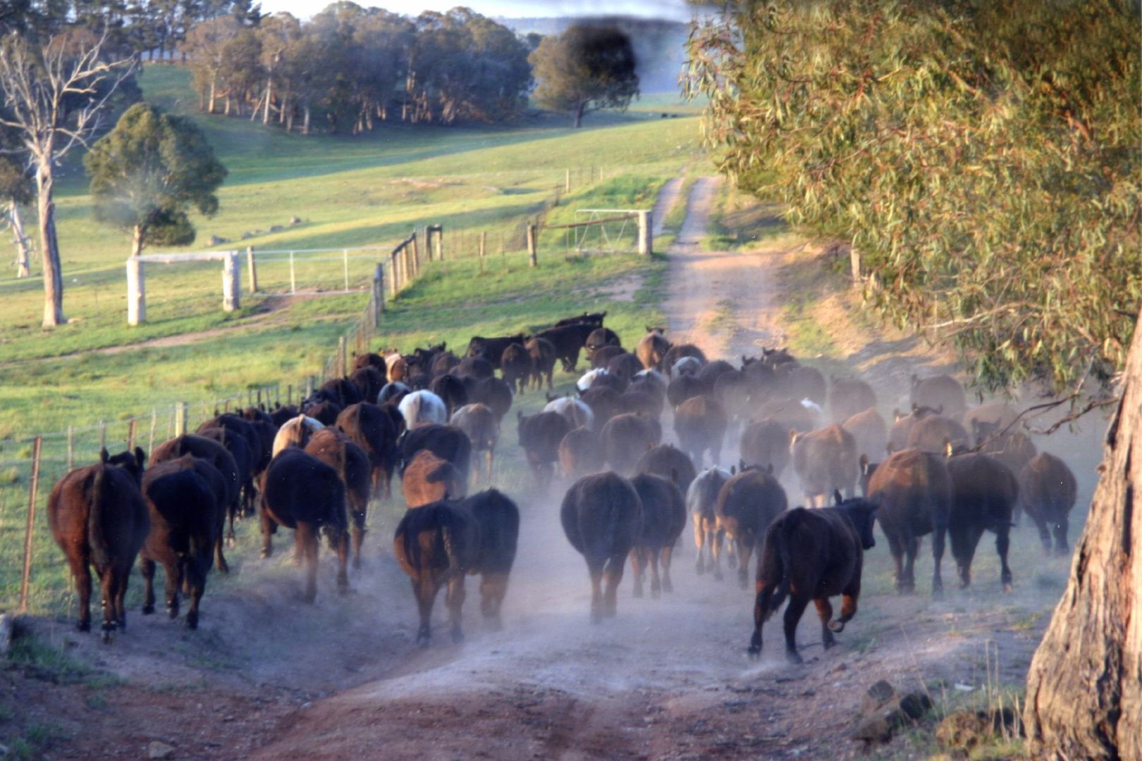 1312 Dog Rocks Road, Essington | Property History & Address Research ...