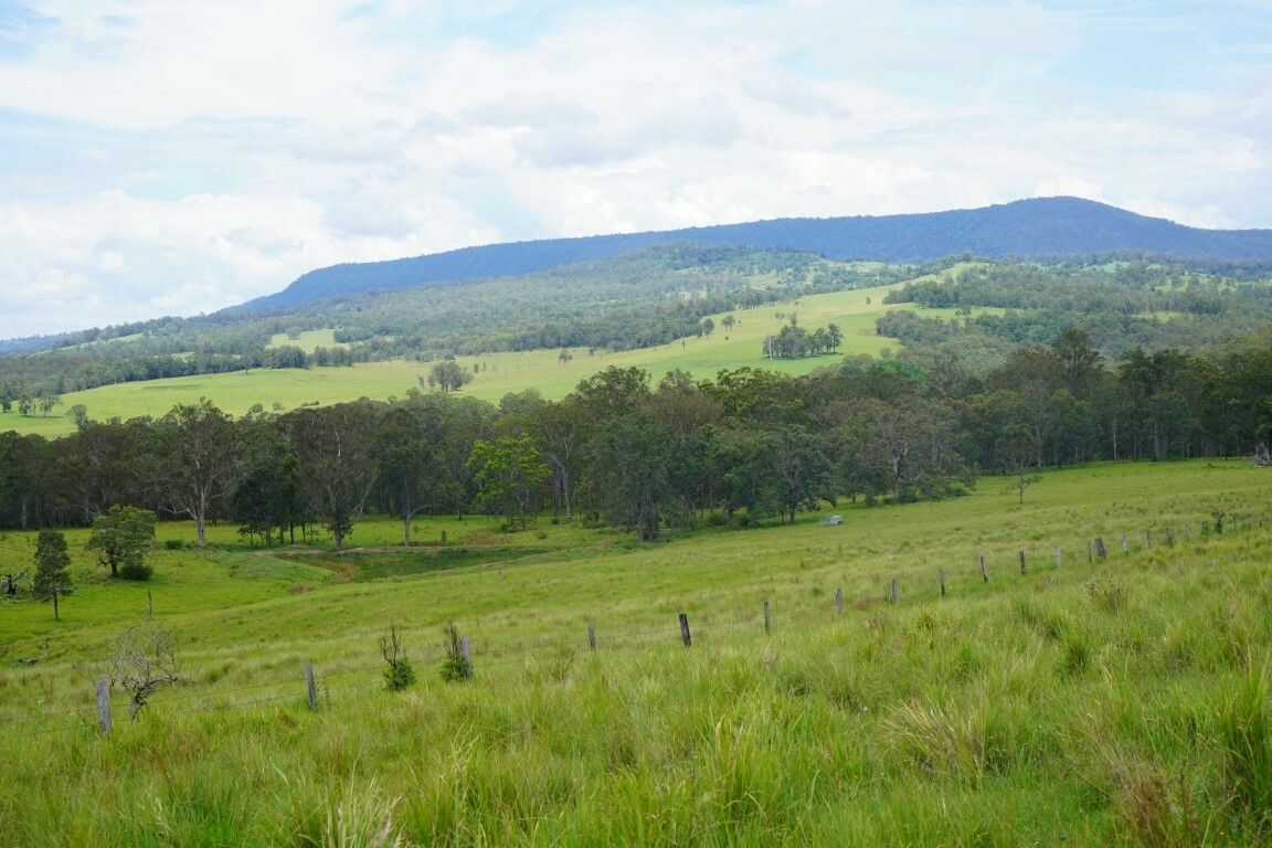 16068 Clarence Way, Old Bonalbo NSW 2469 - House for Sale | Domain