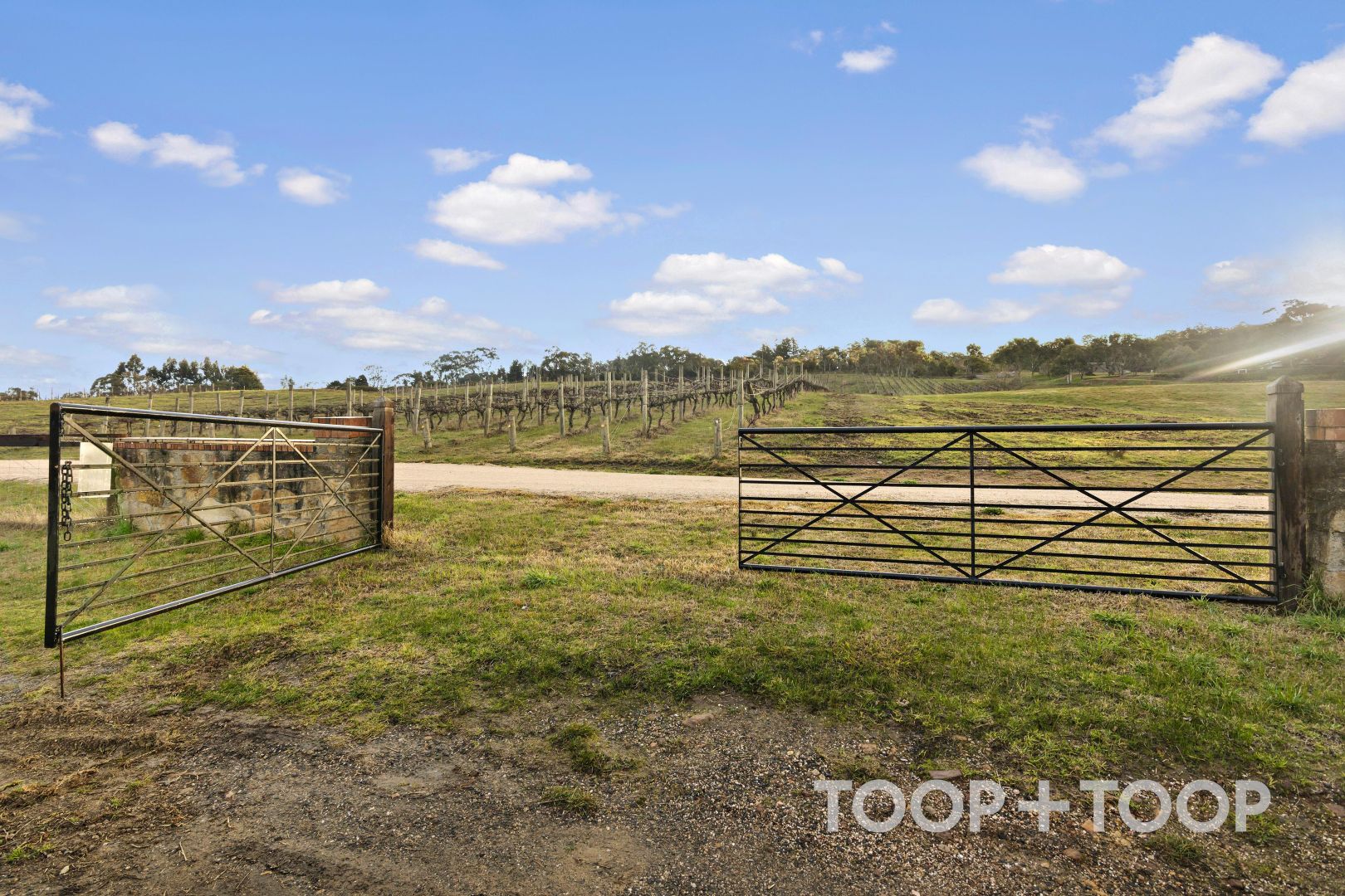 12 Onkaparinga Valley Road, Verdun SA 5245 | Domain