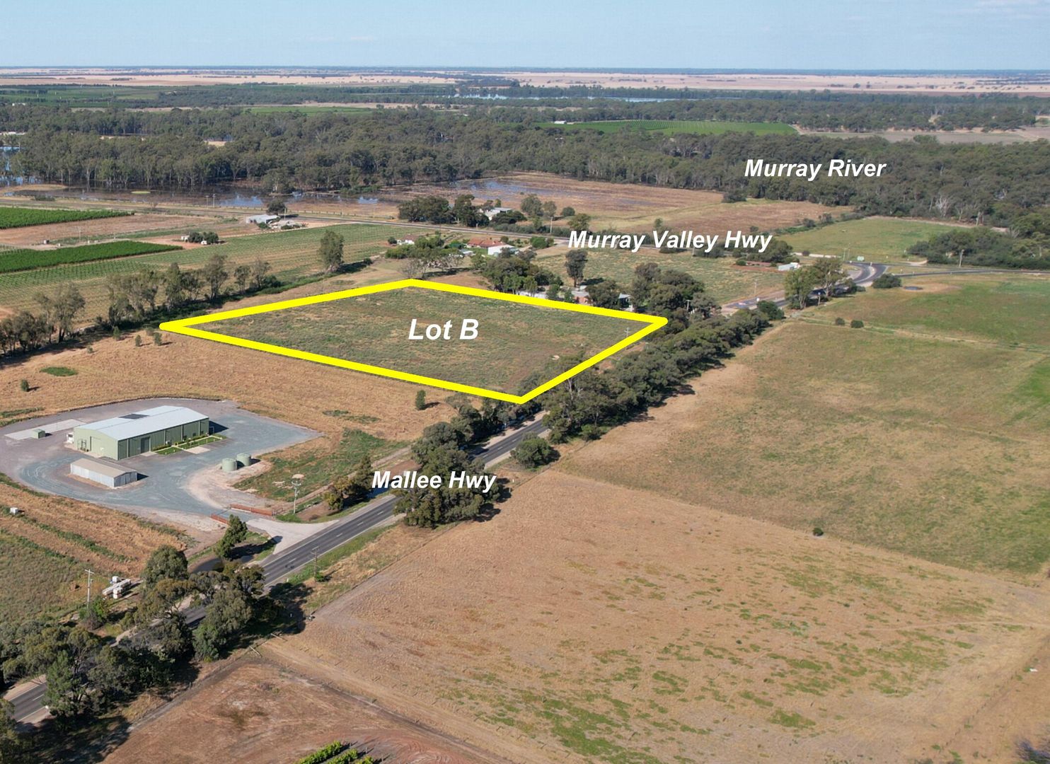 60 Mallee Highway, Piangil VIC 3597 - Farm for Sale | Domain