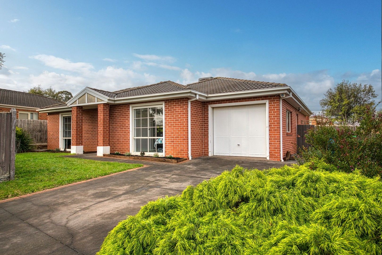 137 Bemersyde Drive, Berwick VIC 3806 - House For Rent | Domain