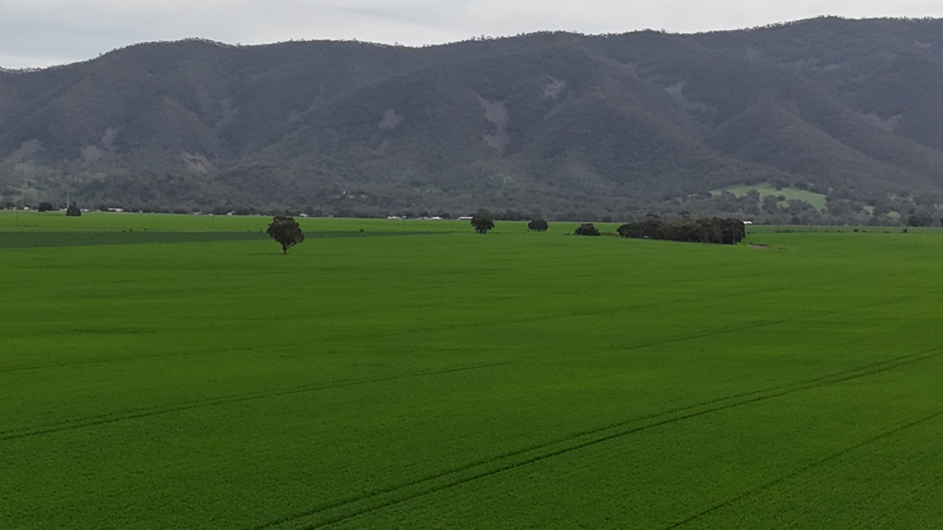 172 Cowin Road, Melrose SA 5483 - Specialist Farm for Sale | Domain