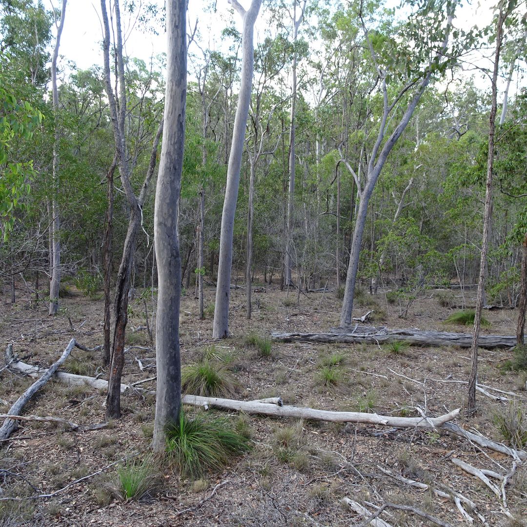 418 Marule Road, Booyal | Property History & Address Research | Domain