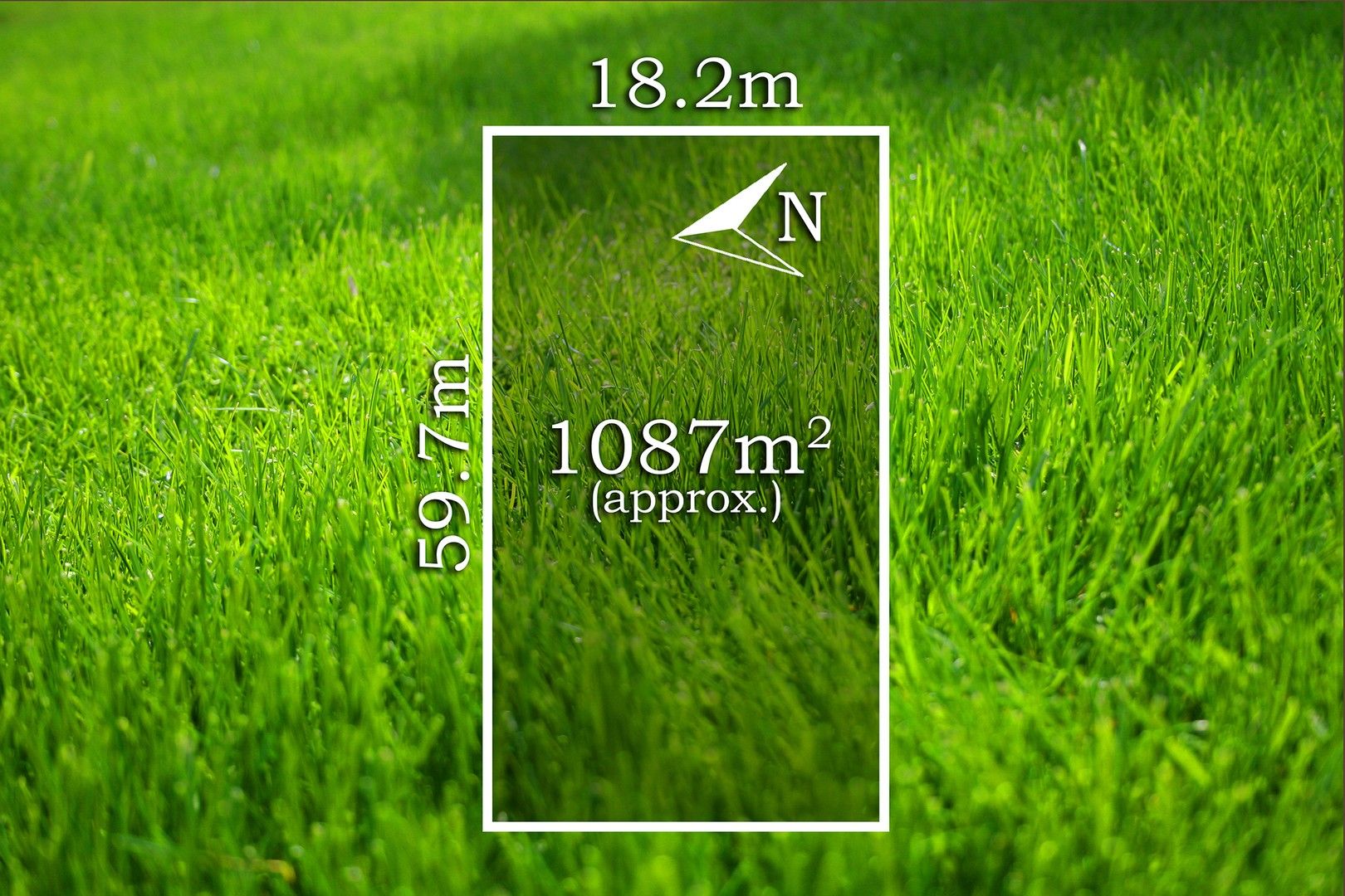 Sold 14 Linlithgow Avenue, Caulfield North VIC 3161 on 28 Jan 2023 ...