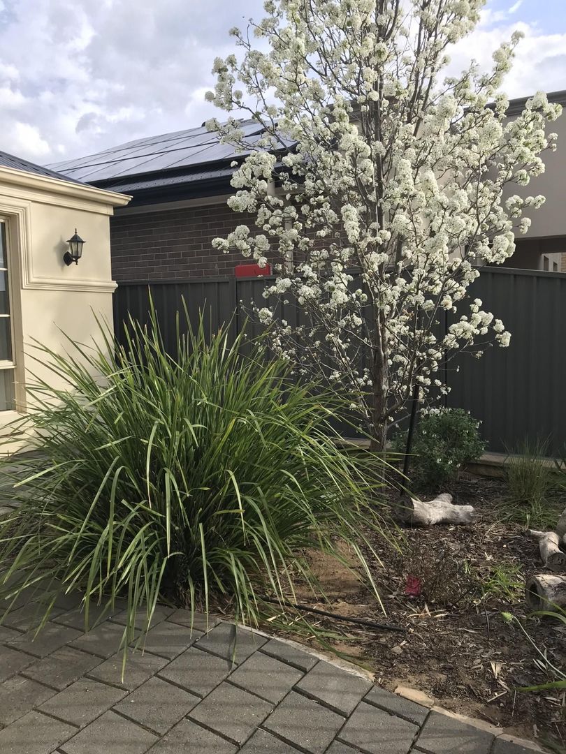 11 Acacia Grove, Flagstaff Hill SA 5159 - House For Rent | Domain