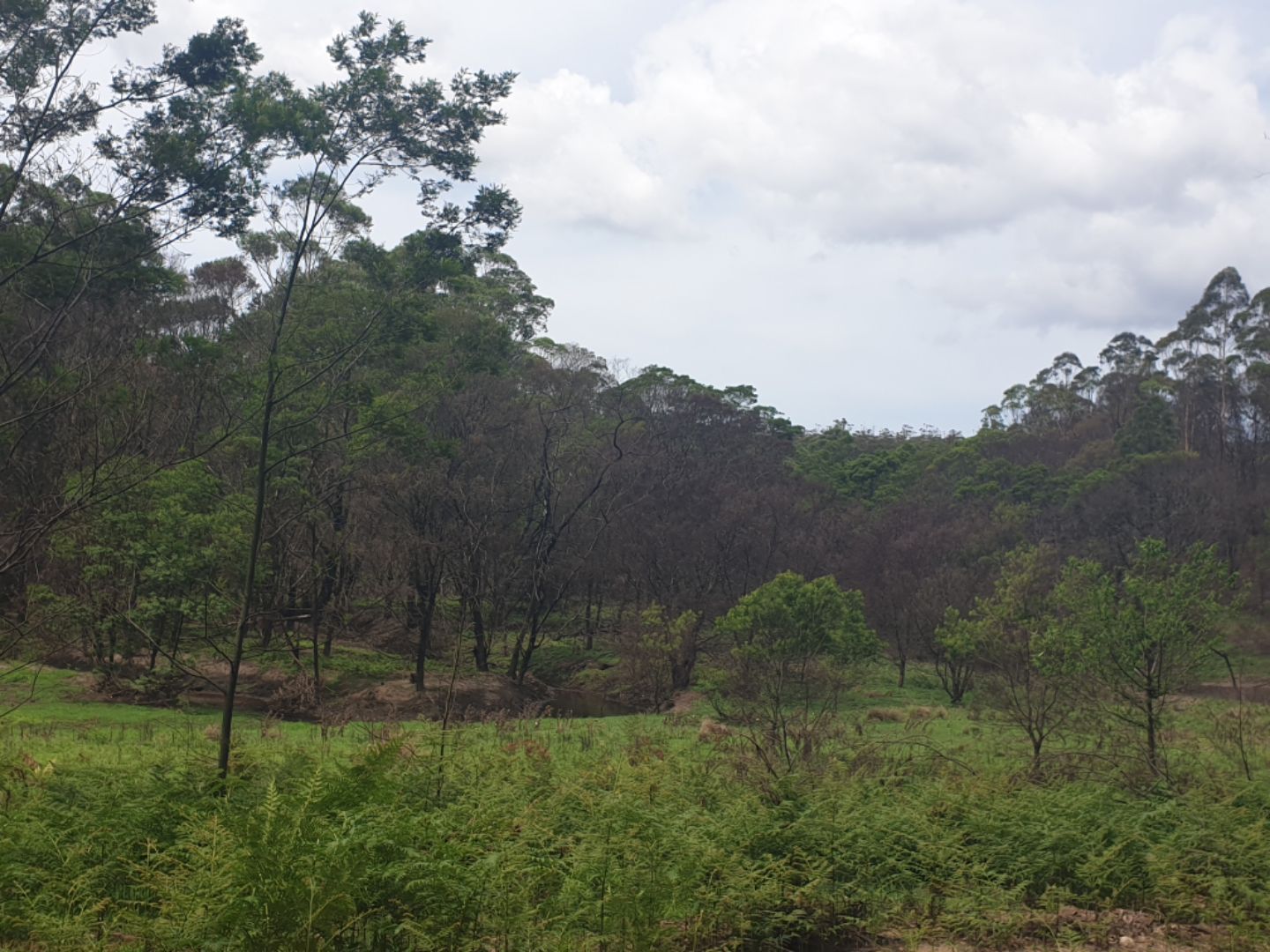 19, DP755939 Wandean Road, Wandandian NSW 2540 - Vacant Land for Sale