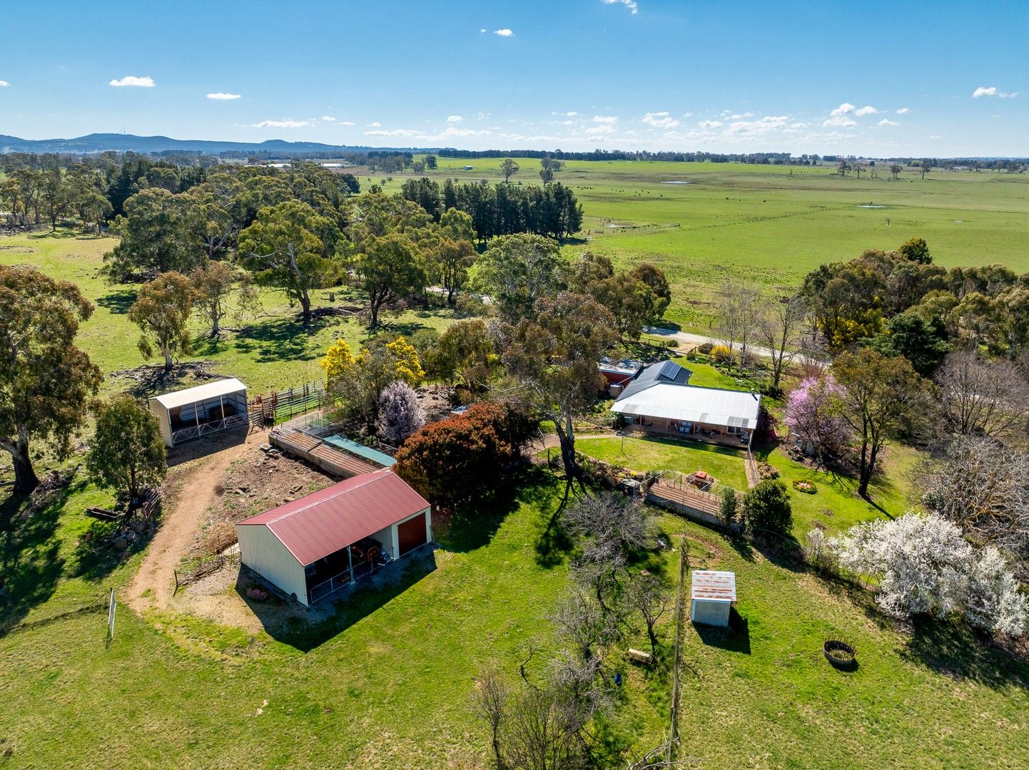 170 Cowriga Road, Spring Terrace NSW 2798 - House for Sale | Domain