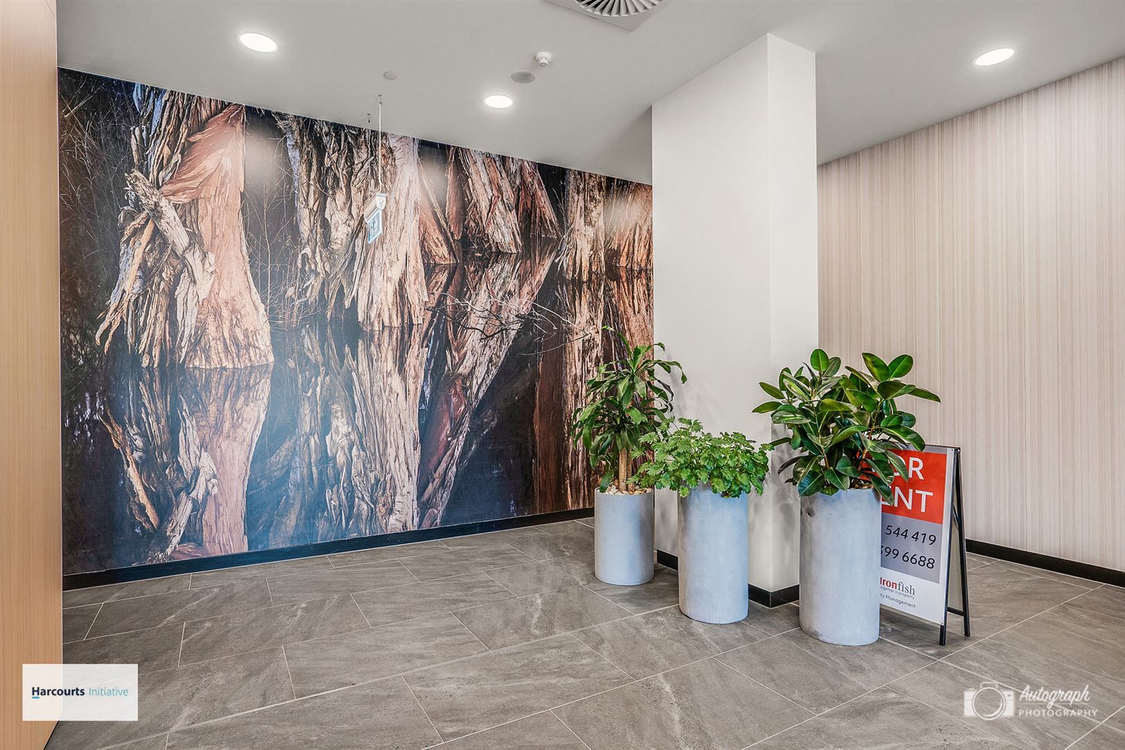 711/8 Tassels, Innaloo WA 6018 - Apartment For Rent - $480 | Domain