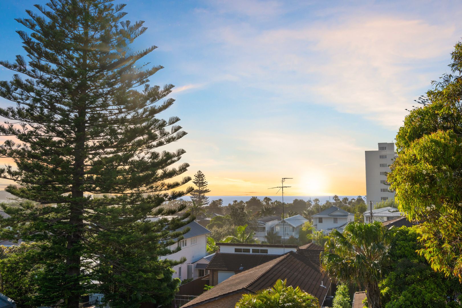 11/16 Moore Road, Freshwater NSW 2096 | Domain