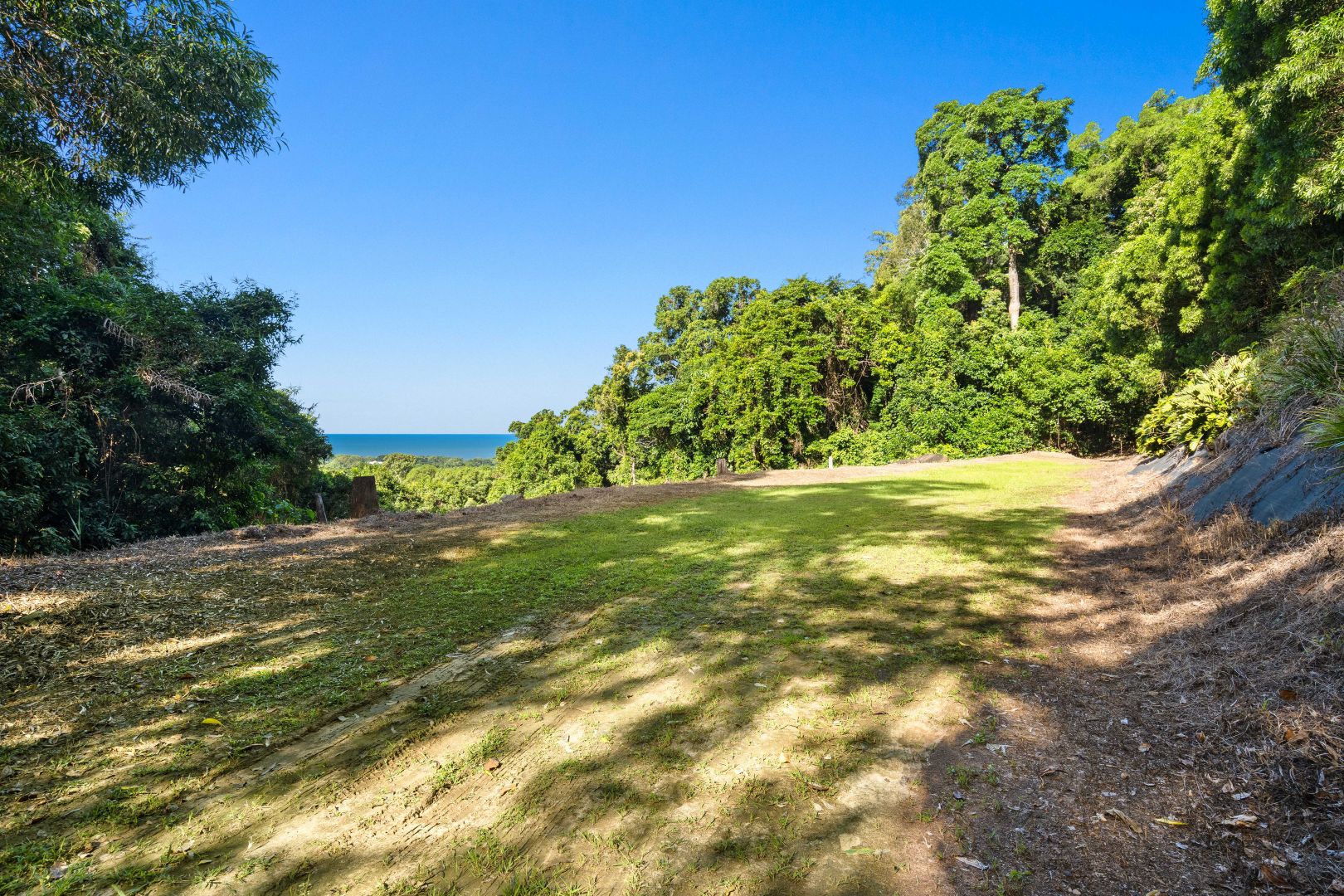 29 Foley Road, Palm Cove QLD 4879 - Vacant Land for Sale | Domain
