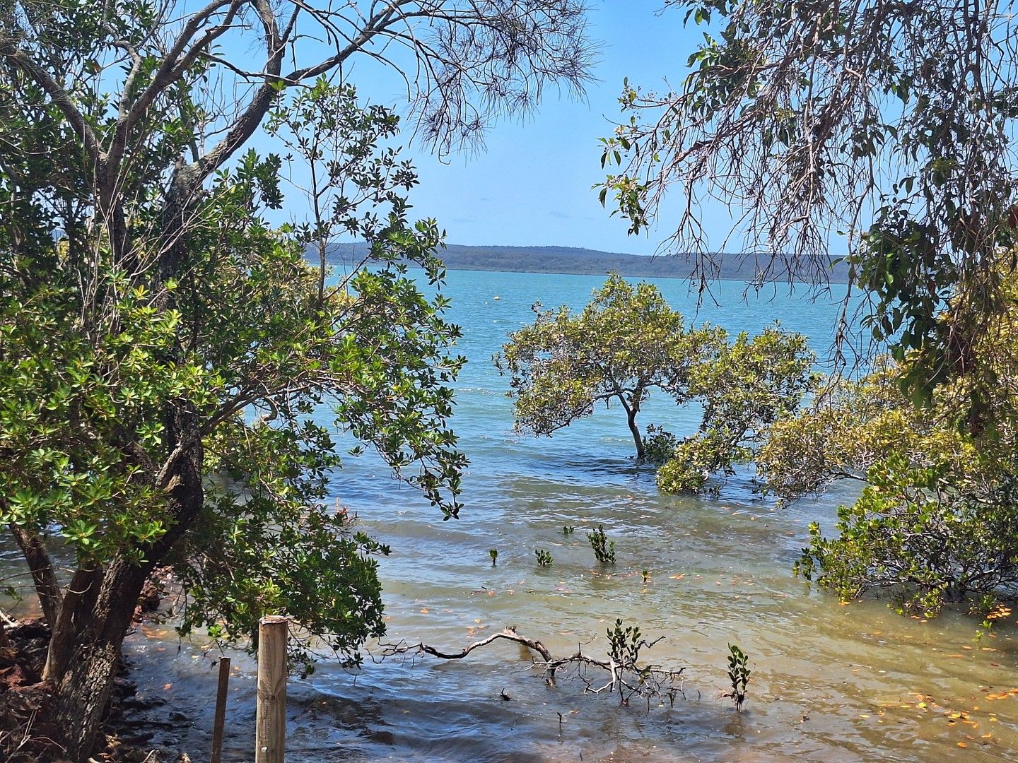 46 Koonwarra Pde, Macleay Island QLD 4184 | Domain