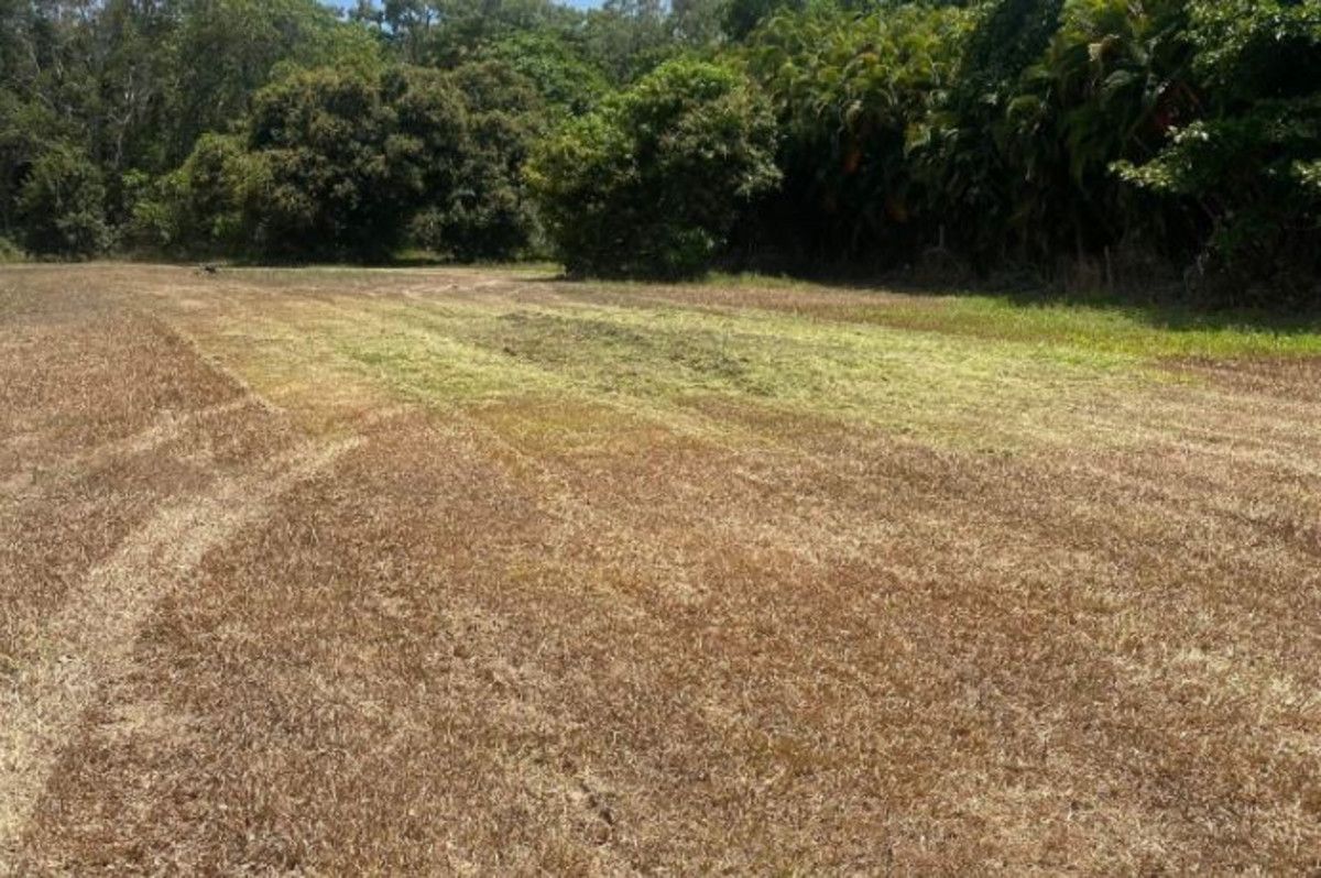 15 Forrest Drive, Forrest Beach QLD 4850 | Domain