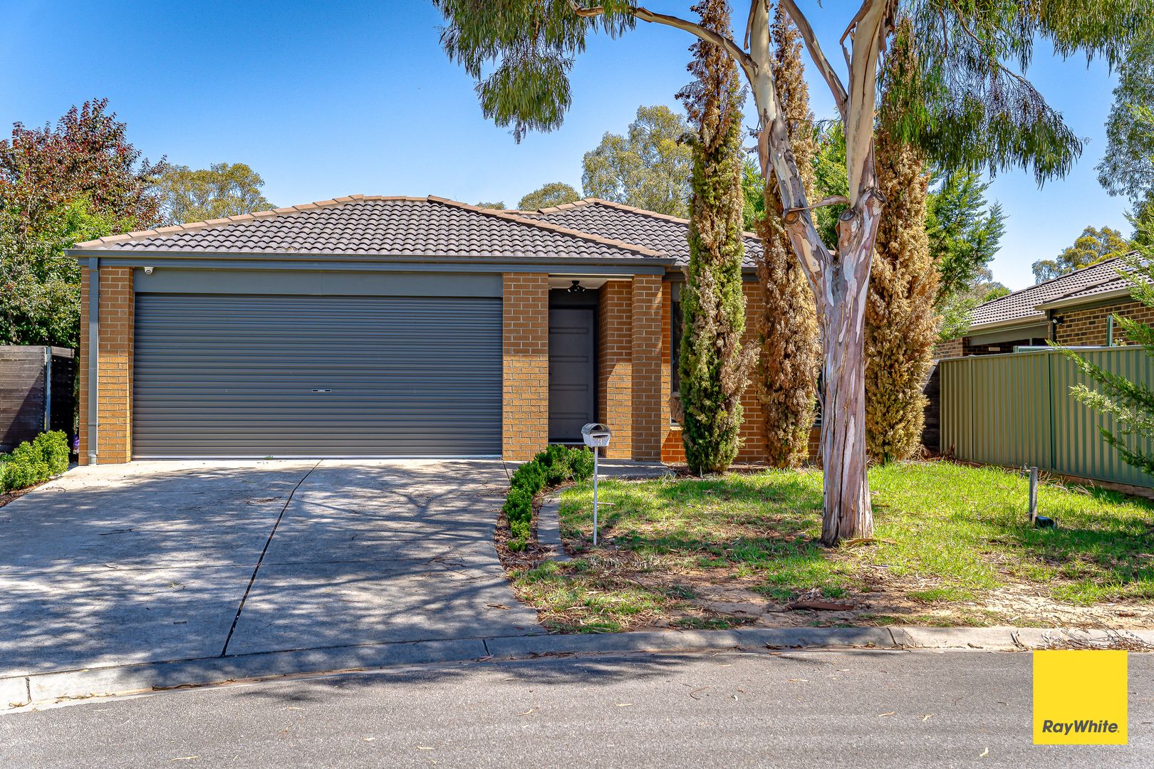 3 Moira Court, Ascot VIC 3551 - House For Rent | Domain