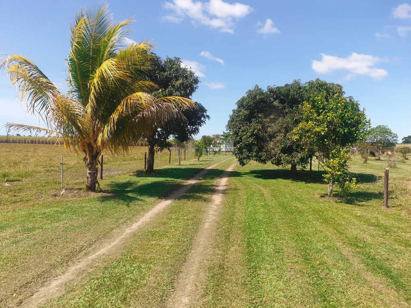 1 ATHERTON ROAD, Silkwood QLD 4856 | Domain