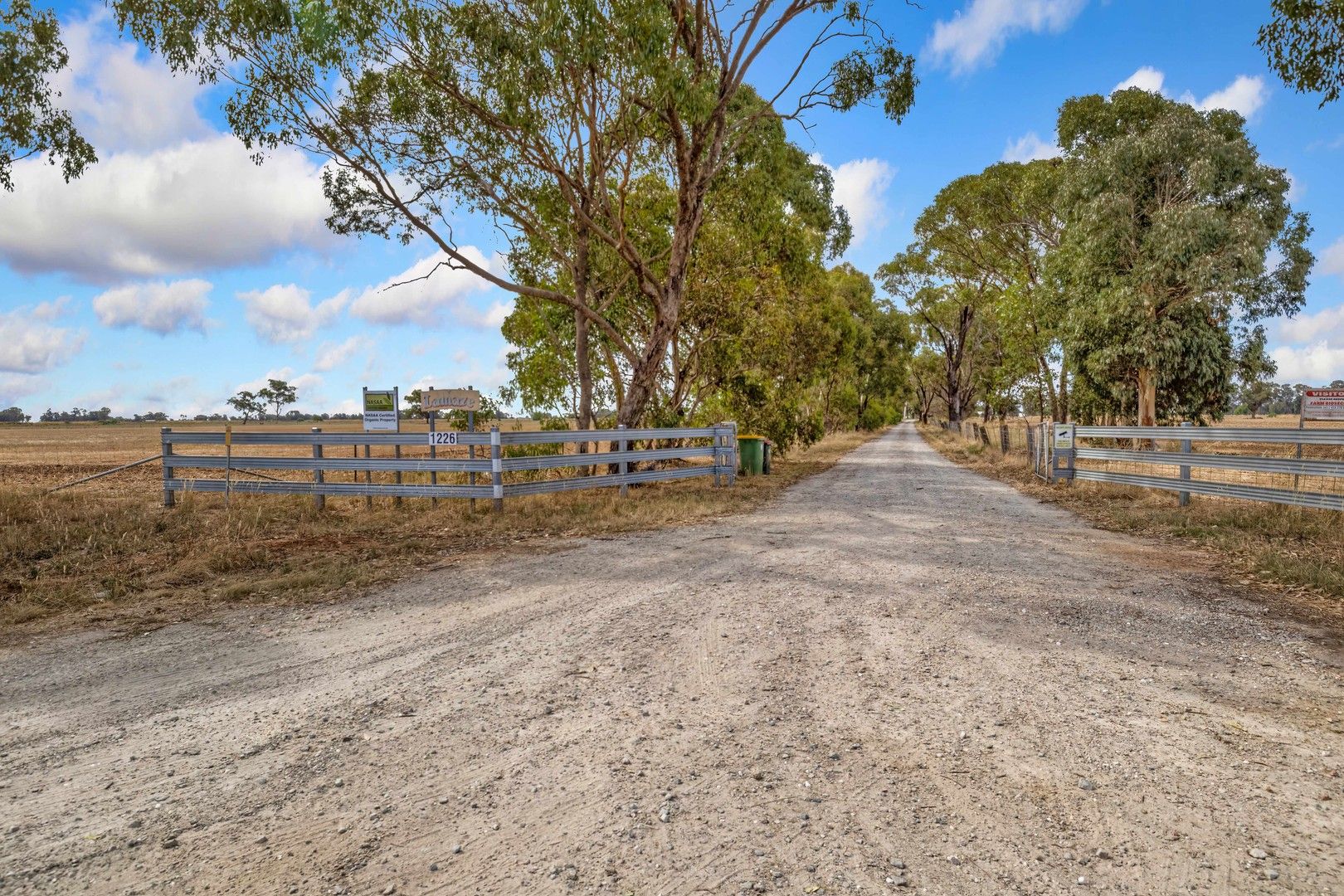 1226 Wilson Road, Tongala VIC 3621 - Specialist Farm for Sale