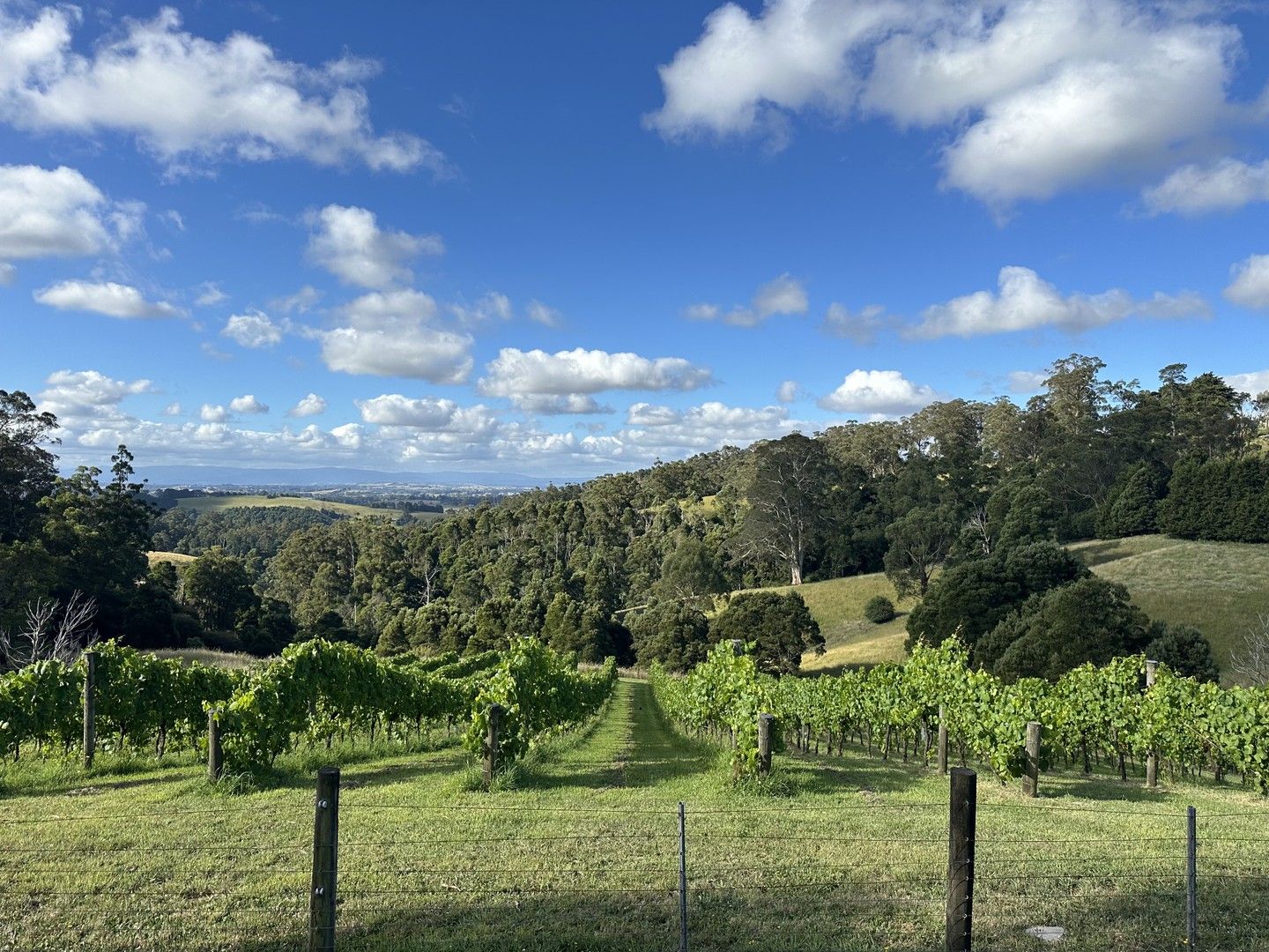 504 Warragul-Leongatha Road, Seaview VIC 3821 - House for Sale - $1,495,000