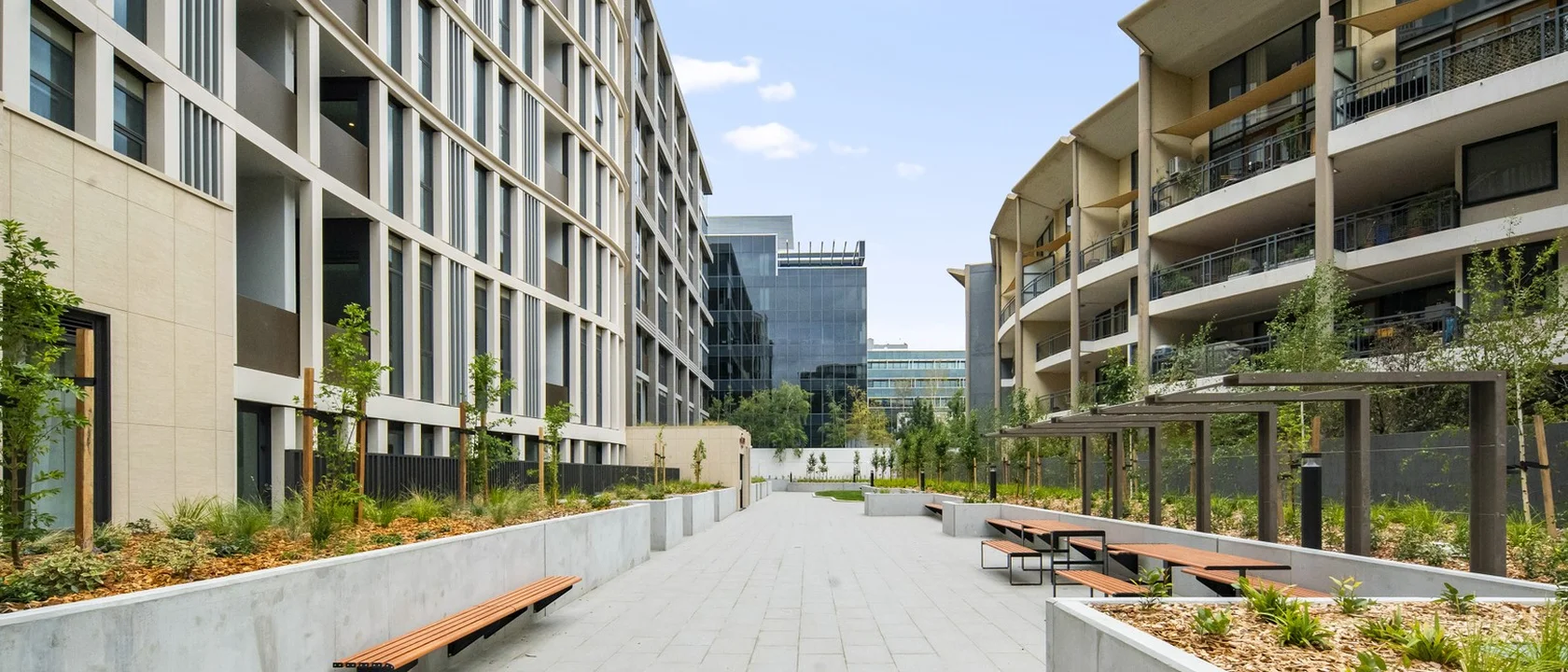 203/70 Allara Street, City ACT 2601 - Apartment For Rent | Domain