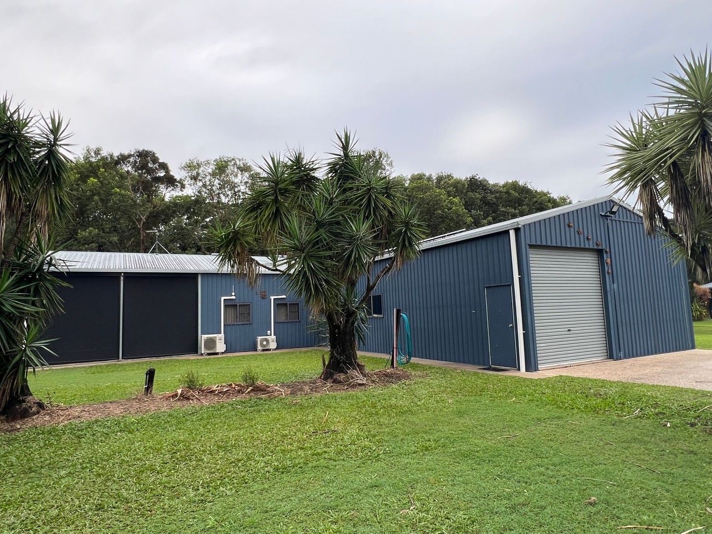 14 Dalgleish Street, Innisfail QLD 4860 - House For Rent | Domain