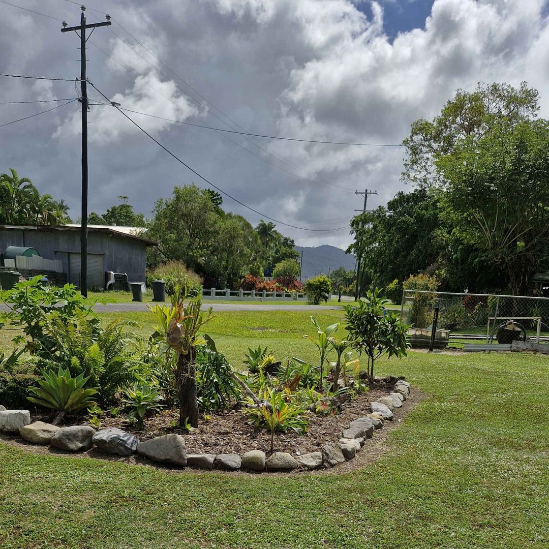 3 Albert Street, Silkwood QLD 4856 | Domain