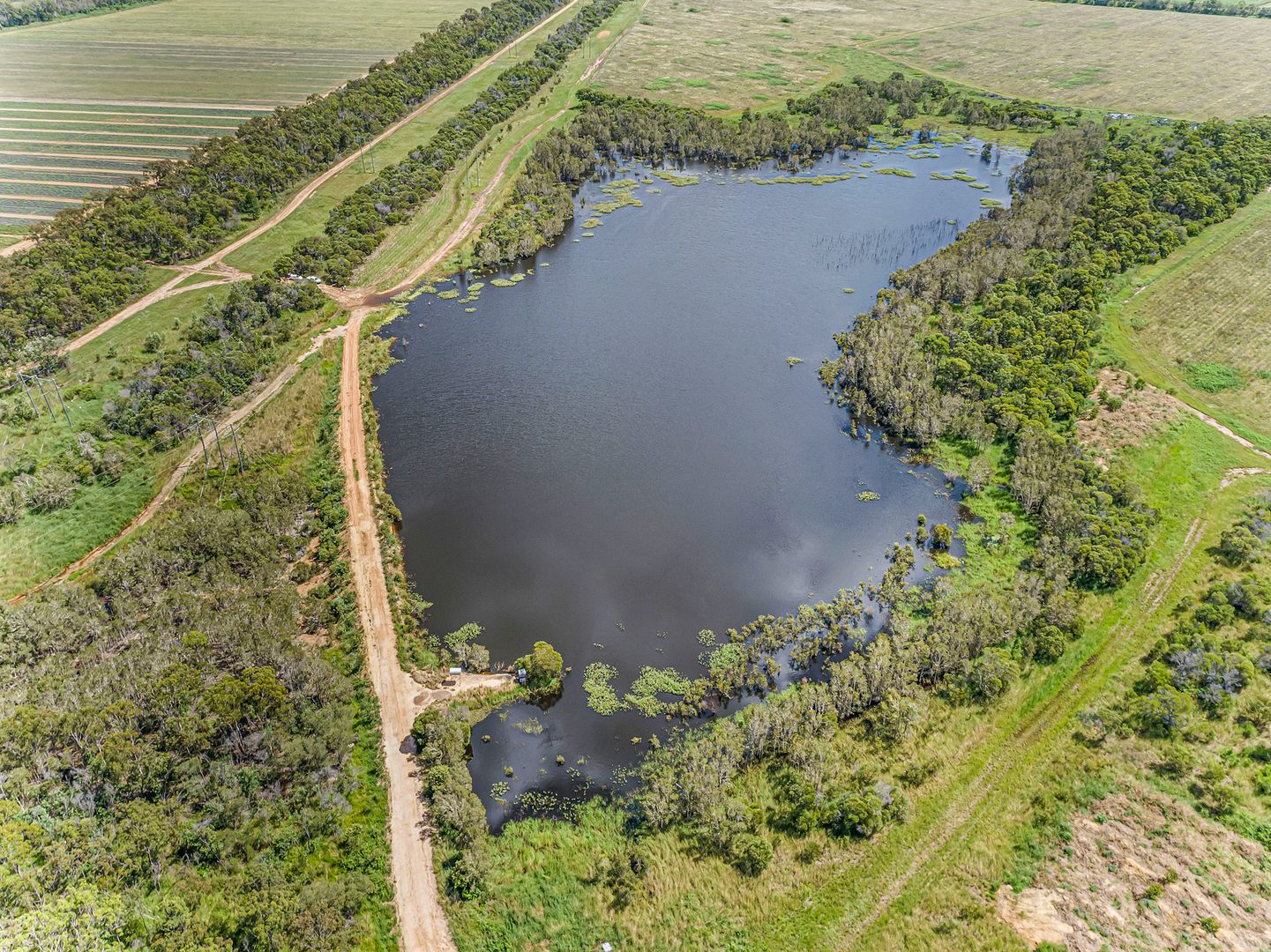 Elliott QLD 4670 - House for Sale | Domain