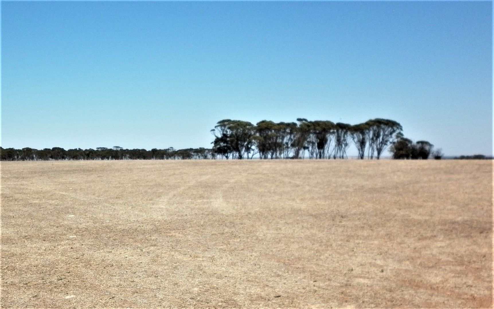 East Road, Pingrup WA 6343 - House for Sale | Domain