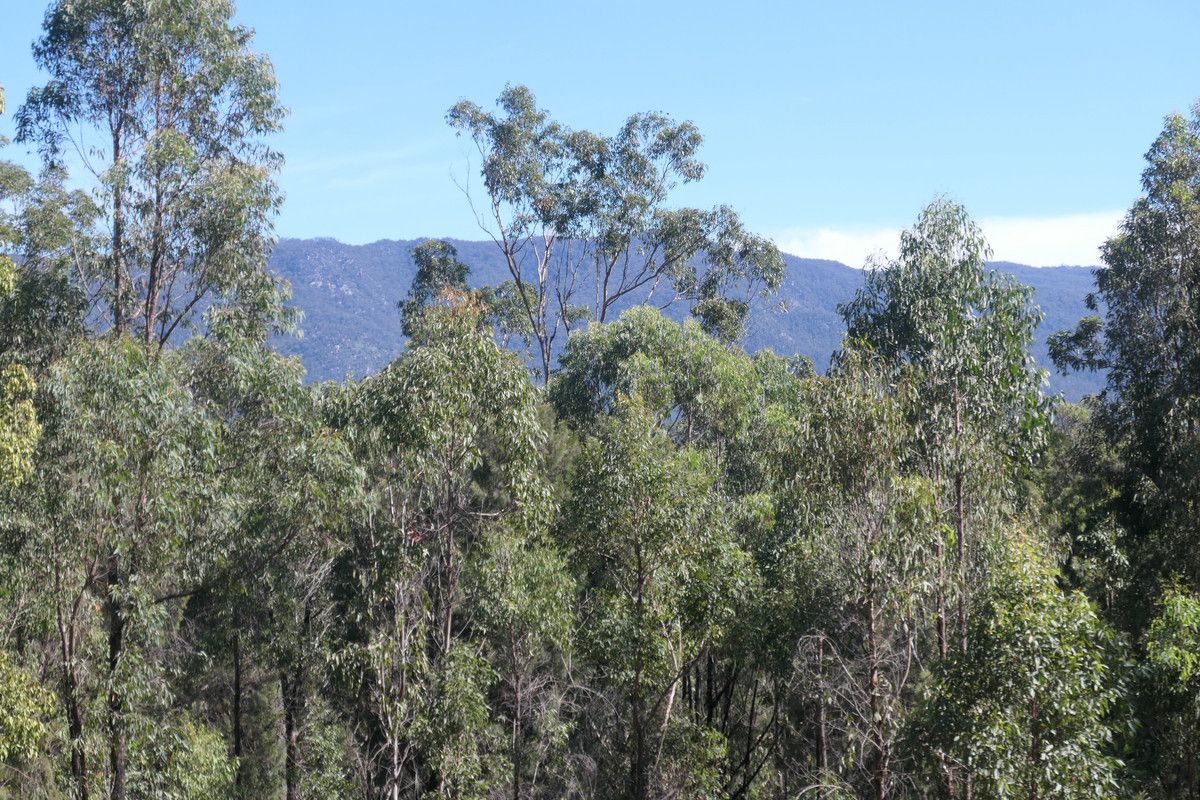 1021D Long Gully Road, Drake NSW 2469 - House for Sale - $299,000