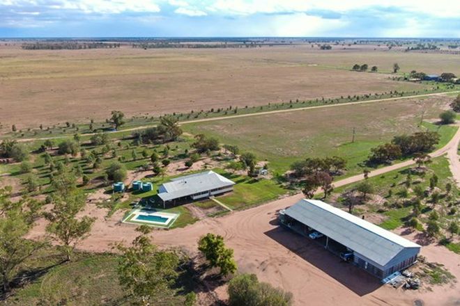 48 Real Estate Properties for Sale in Gulargambone, NSW, 2828 | Domain