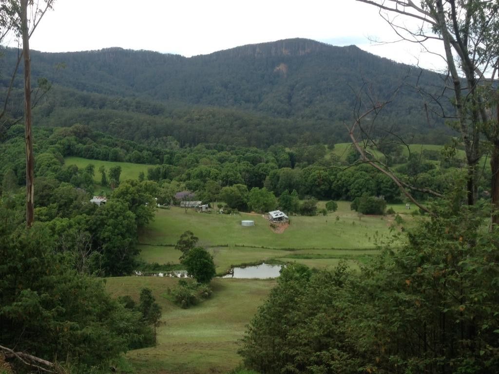 Upper Lansdowne NSW 2430 - House for Sale | Domain