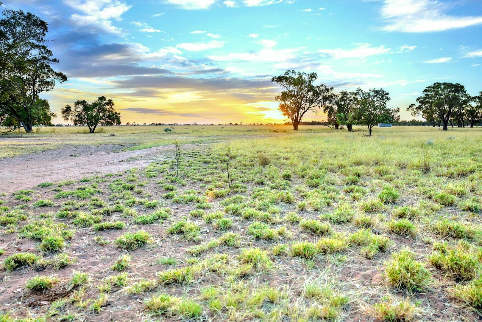 "Warrabah" 796 Warrabah Road, Coonamble NSW 2829 - Farm for Sale