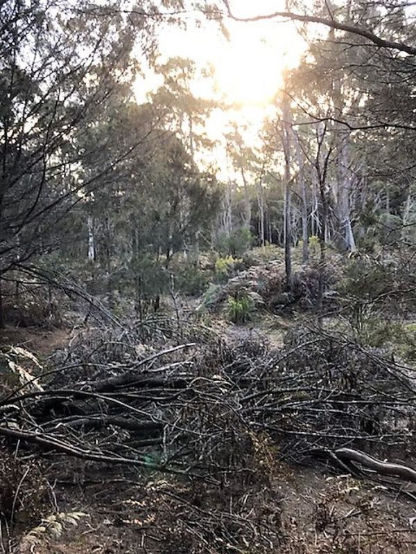 253 Old Bangor Tram Road, Mount Direction TAS 7252 | Domain