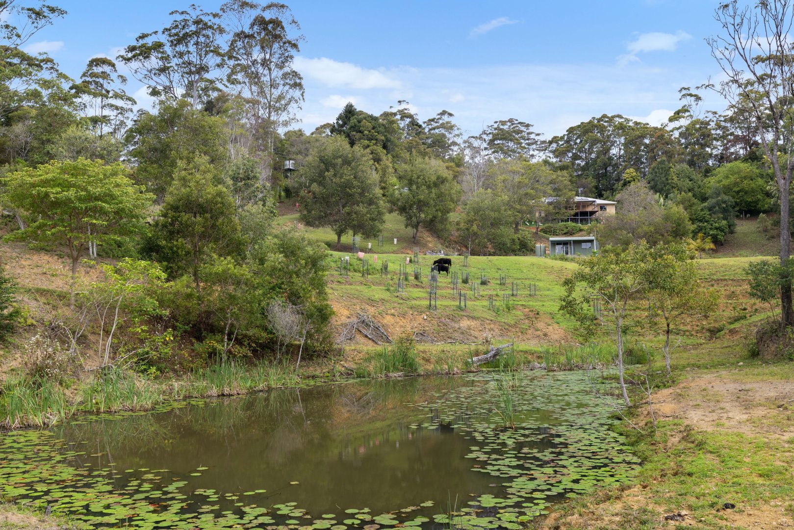 5 Scotts Road, Wootha | Property History & Address Research | Domain