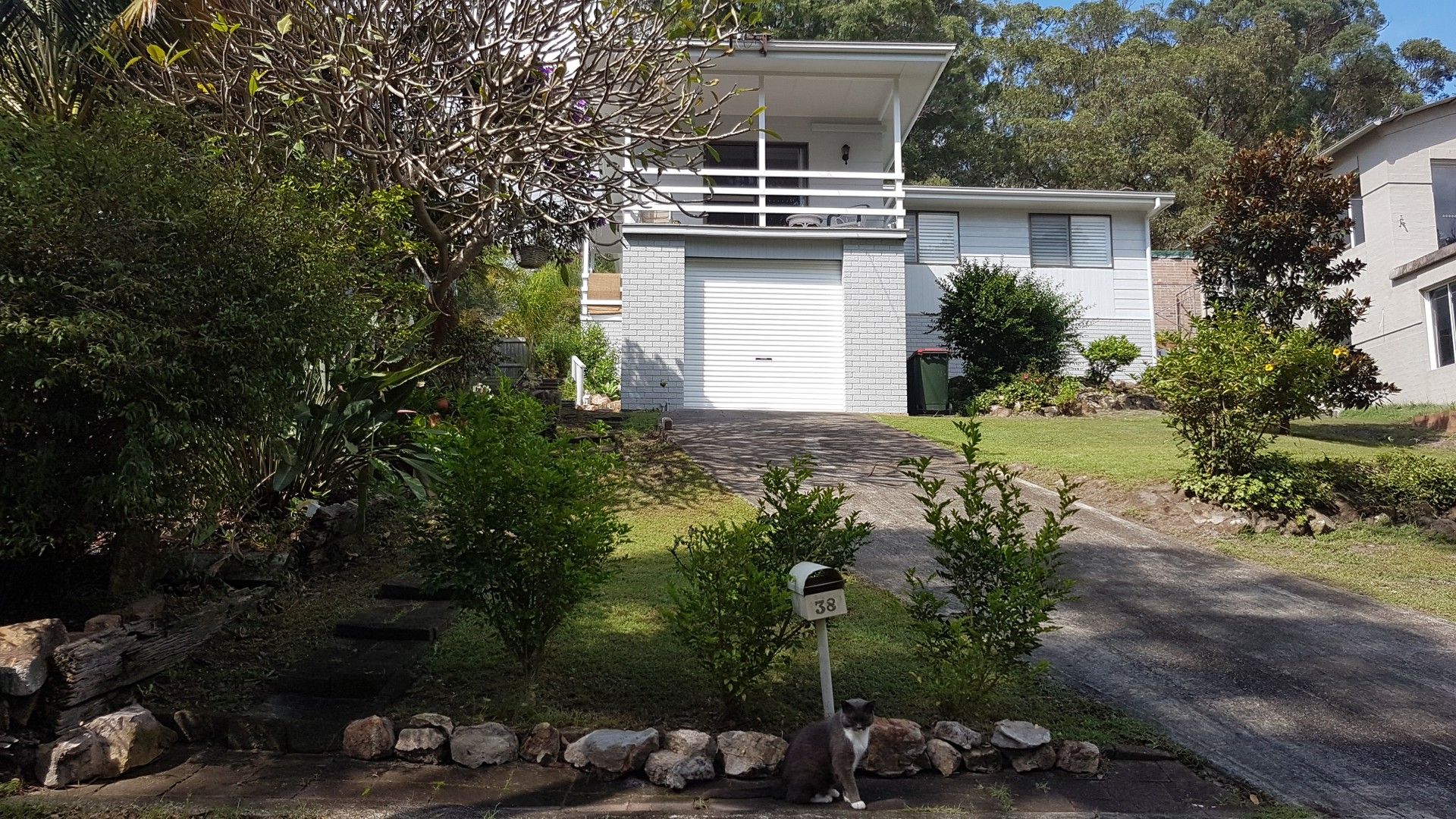 38 Johnson Pde, Lemon Tree Passage NSW 2319 - House For Rent - $640 ...