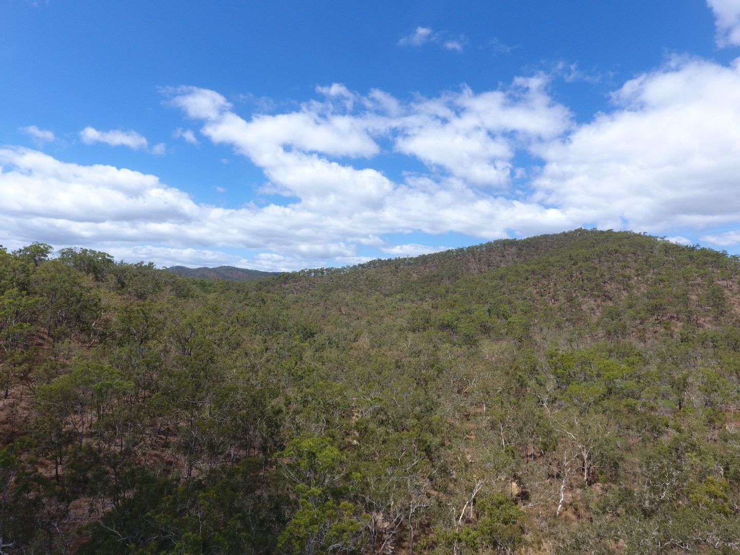 103/3609 Mulligan Highway, Mount Molloy QLD 4871 | Domain