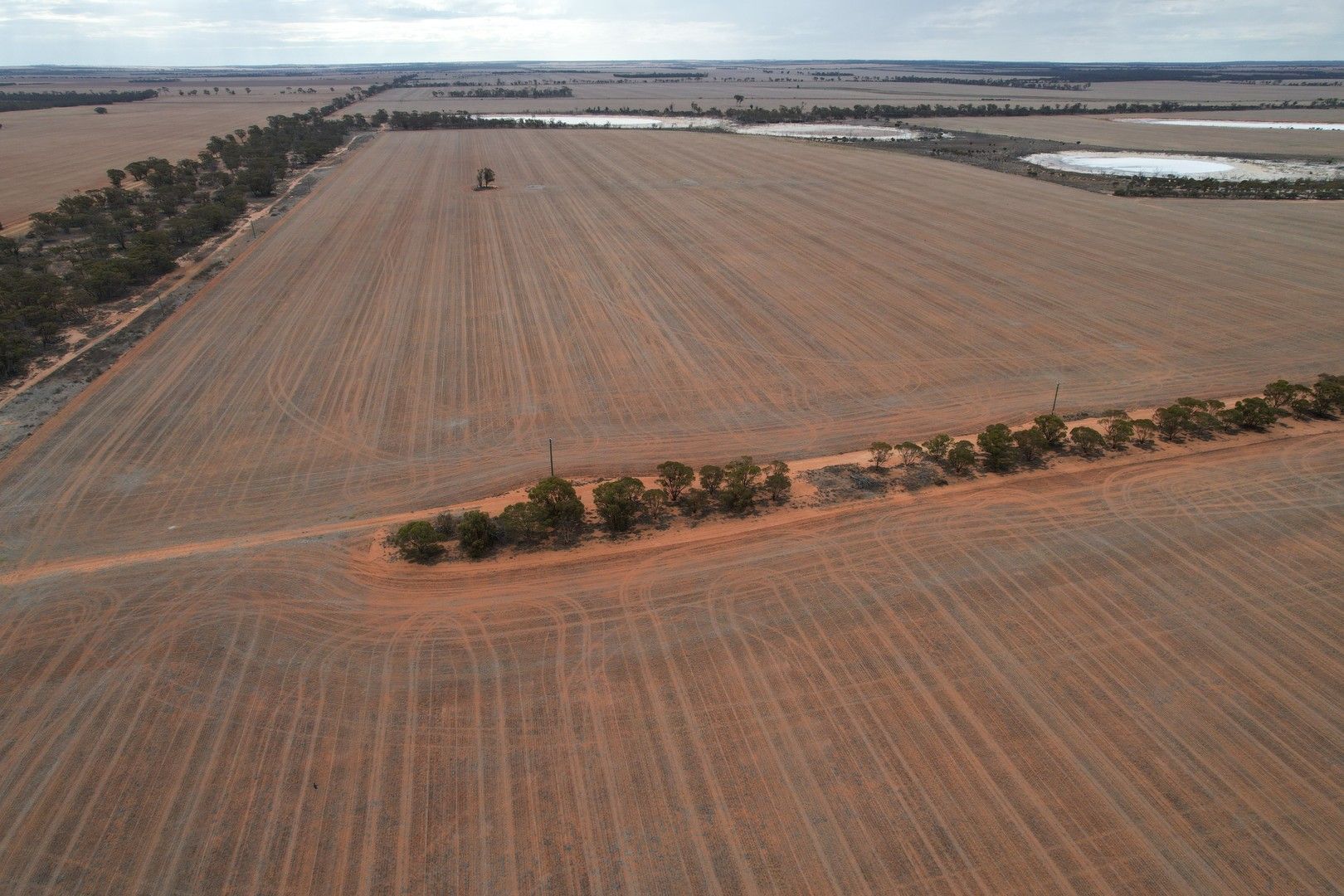 Bullfinch Moorine Rock Aggregation, South Yilgarn WA 6426 - Farm for Sale