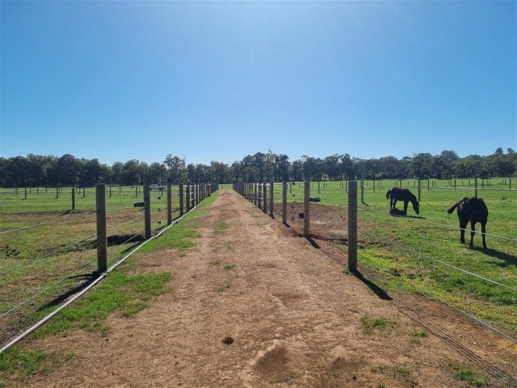 340 Thompson Road, Cookernup WA 6219 - Mixed Farming Property for Sale