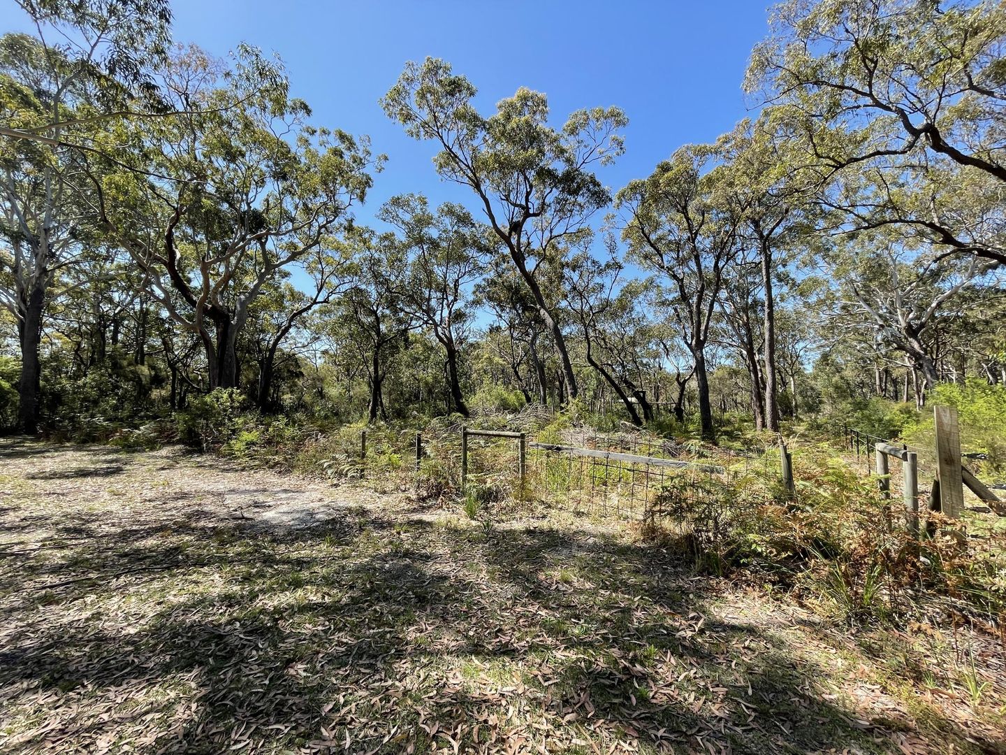 Sold Lot8SectionH Nardoo Street, Pindimar NSW 2324 on 19 Nov 2021 ...