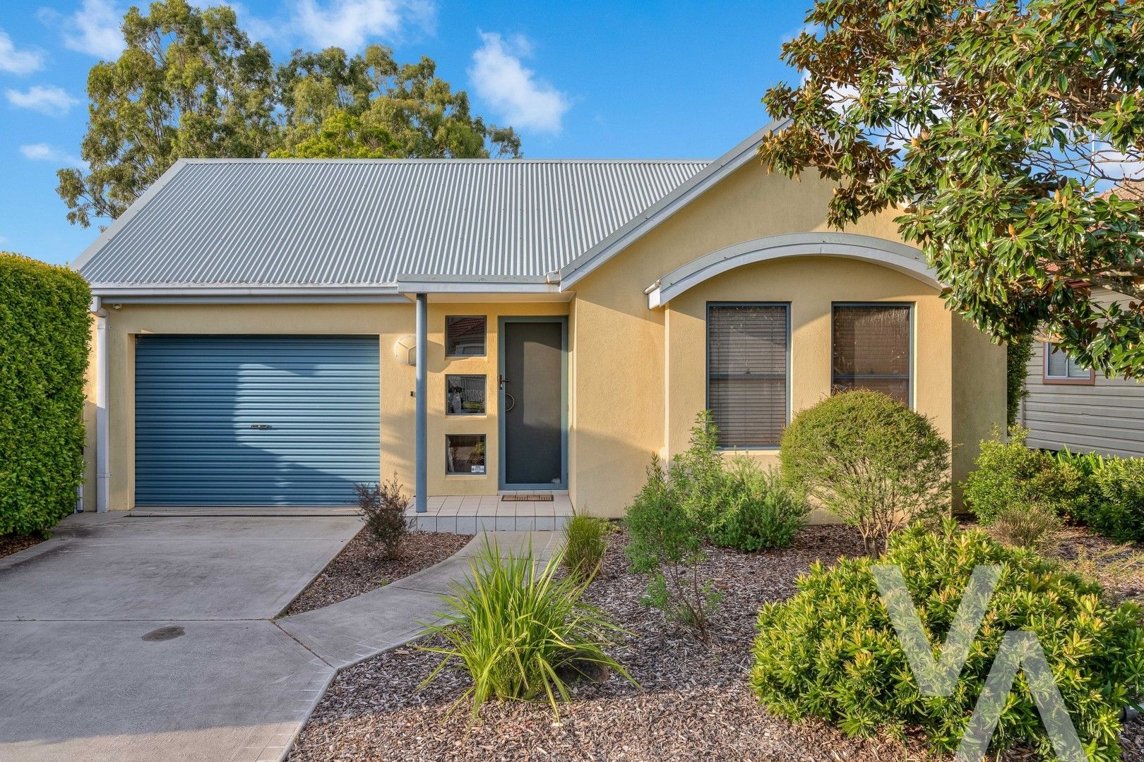 38 Freyberg Street, New Lambton NSW 2305 - House For Rent | Domain