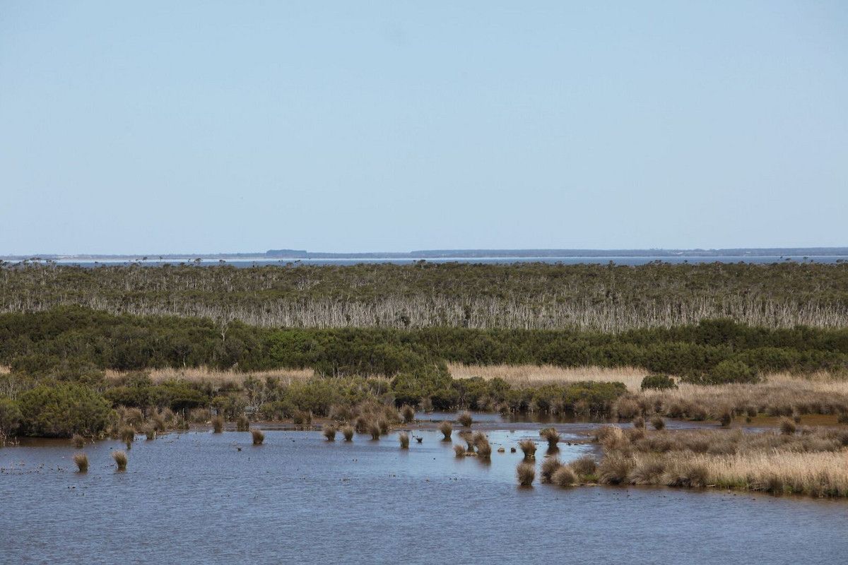 191 Springberg Lane, Perry Bridge | Property History & Address Research ...