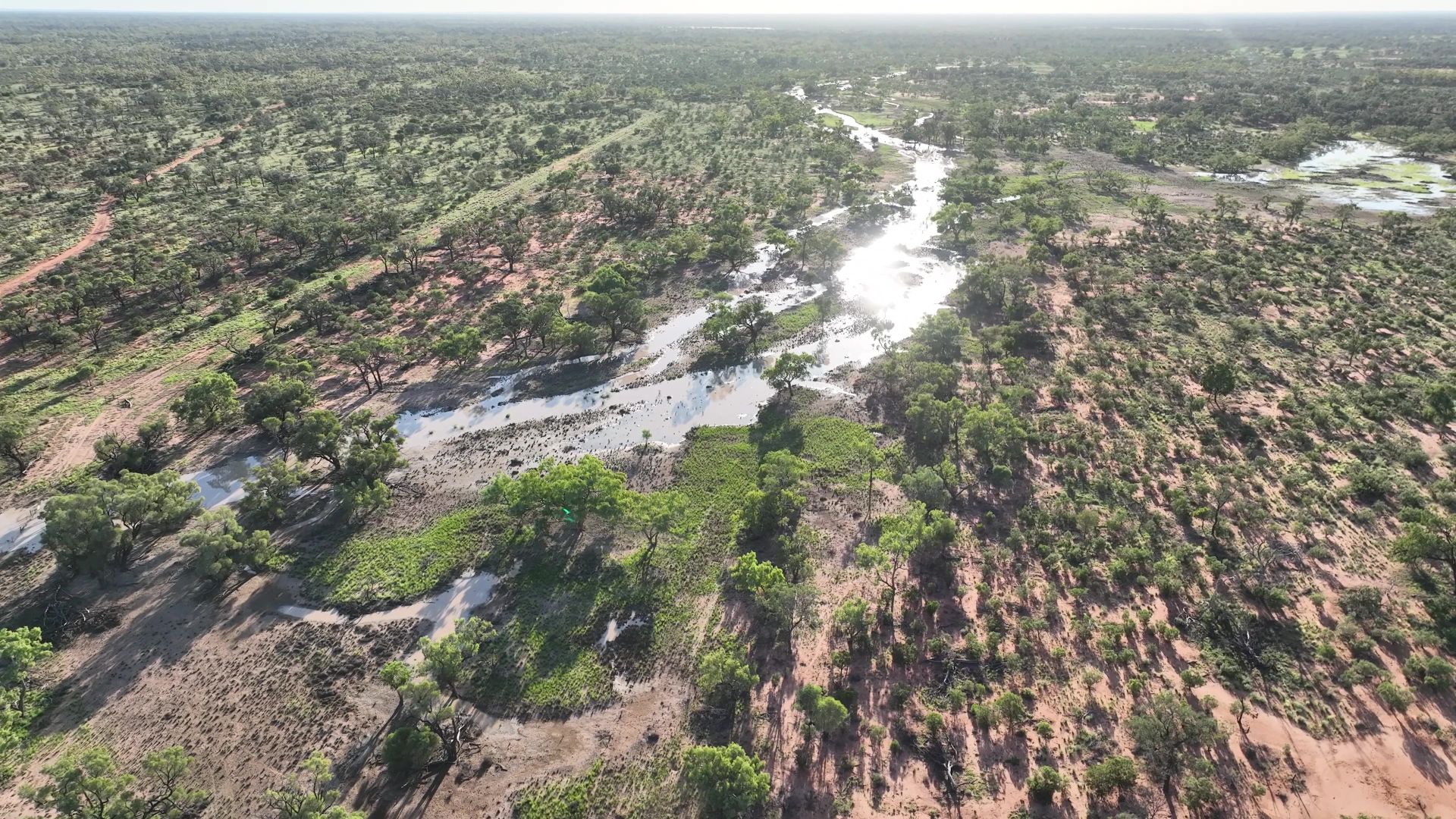 5643 Pitherty Road, Eulo QLD 4491 - House for Sale | Domain