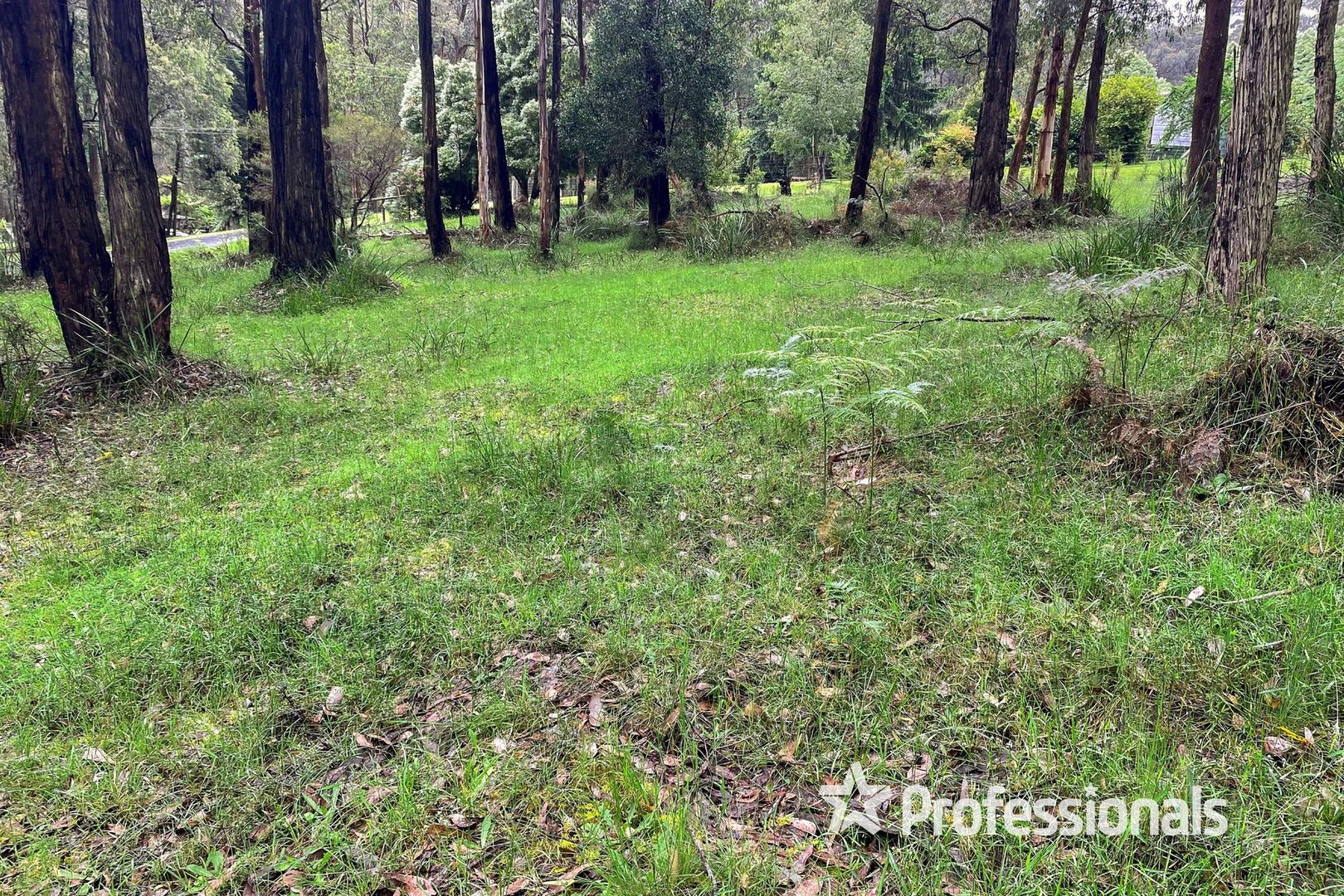 159 Fisherman Drive, Reefton VIC 3799 | Domain