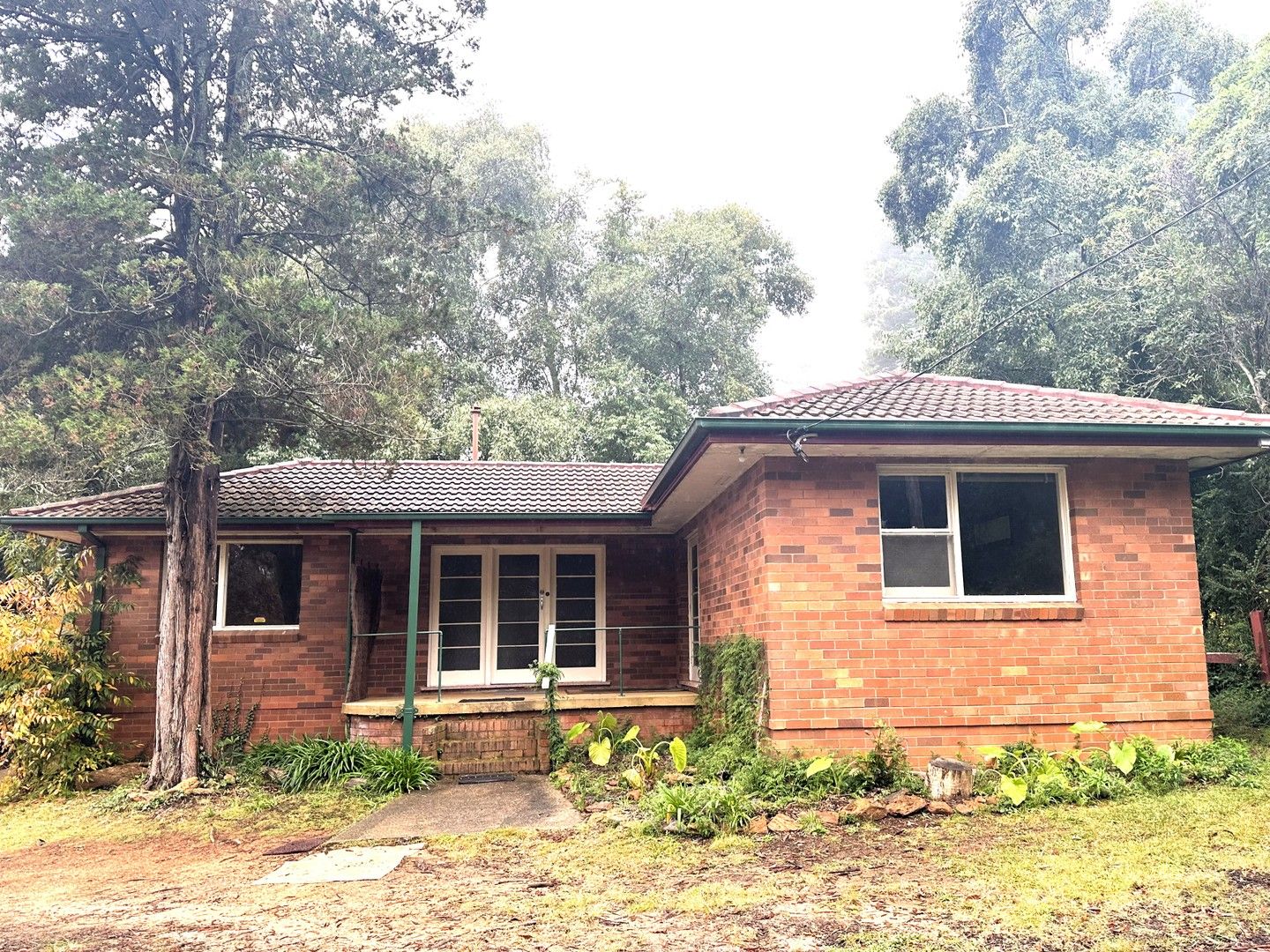 12 Mitchell St, Wentworth Falls NSW 2782 - House For Rent | Domain