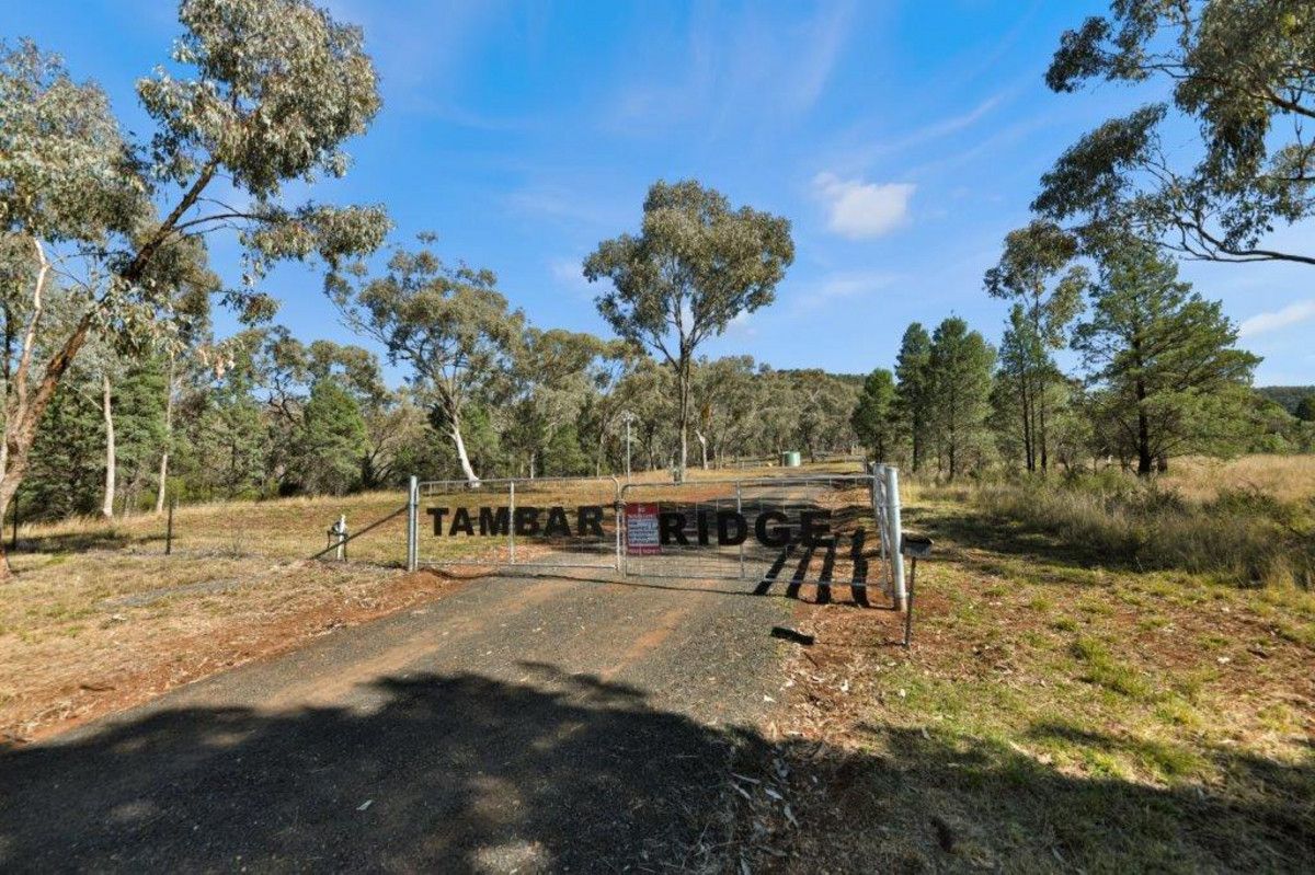 100-132 High Street, Tambar Springs NSW 2381 - House for Sale