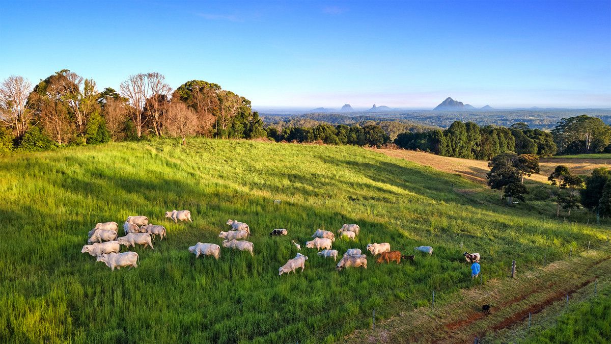 617 River Road, Wootha QLD 4552 - House for Sale | Domain