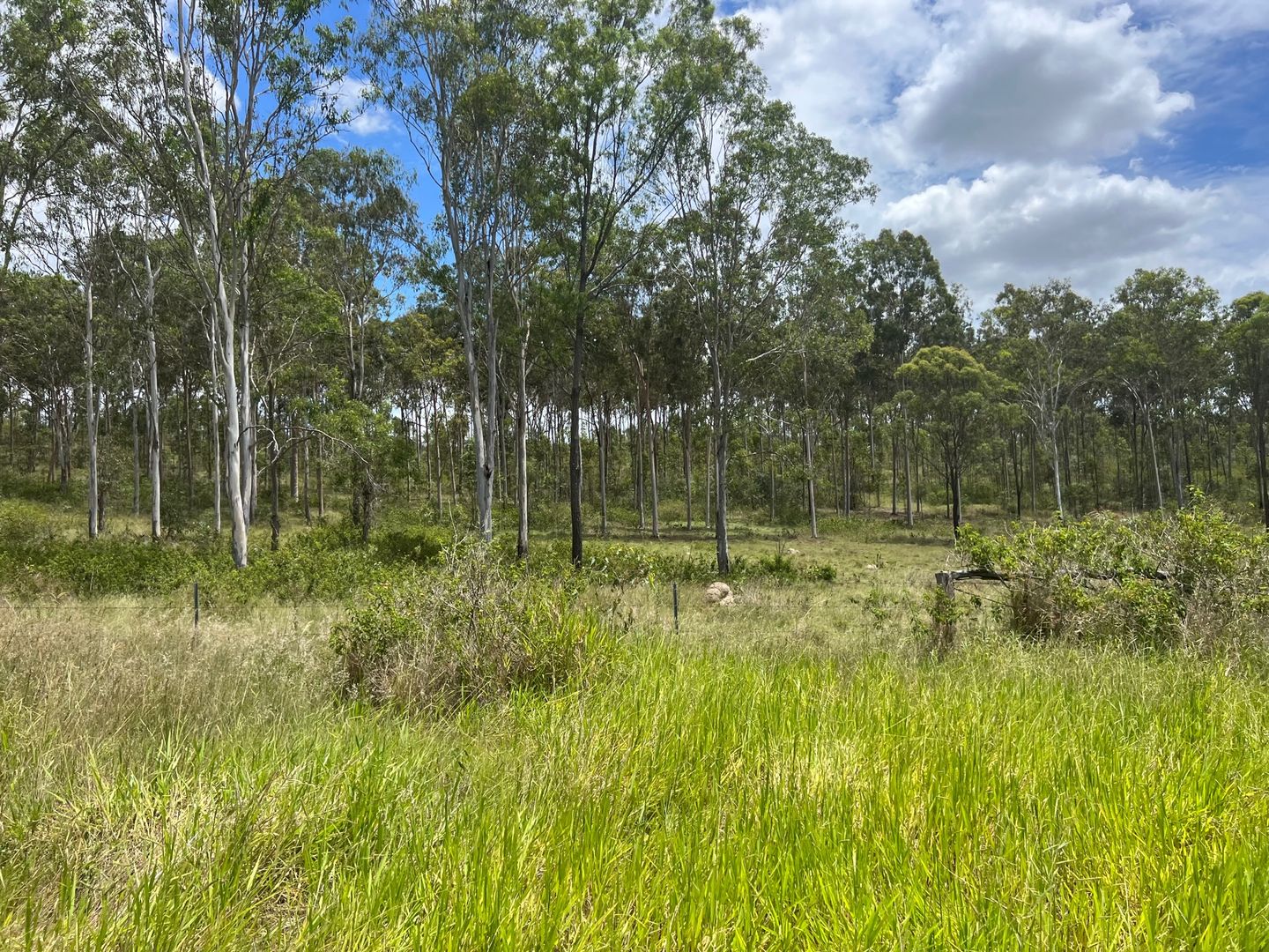 29 Cumner Road, South Ripley QLD 4306 - Vacant Land for Sale | Domain
